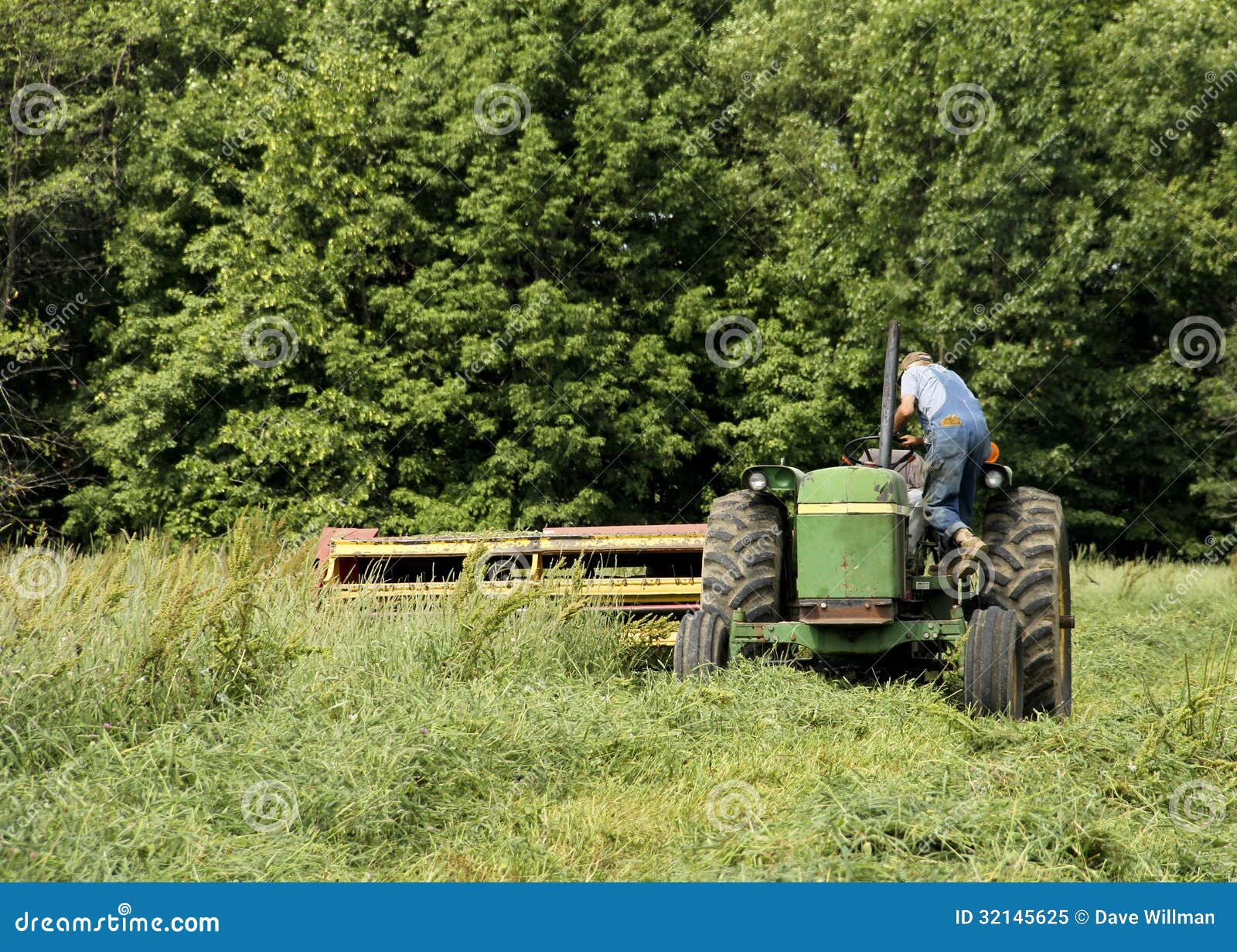 Farmer cutting hay stock image. Image of woods, field - 32145625