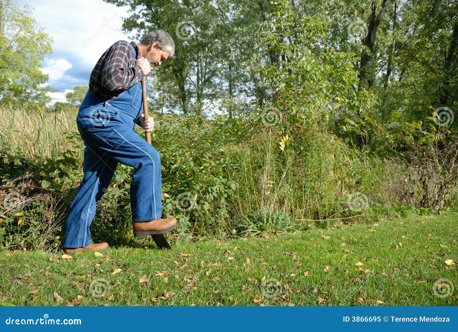 Farmer digging stock image. Image of shovel, shirt, cheerful - 3866695