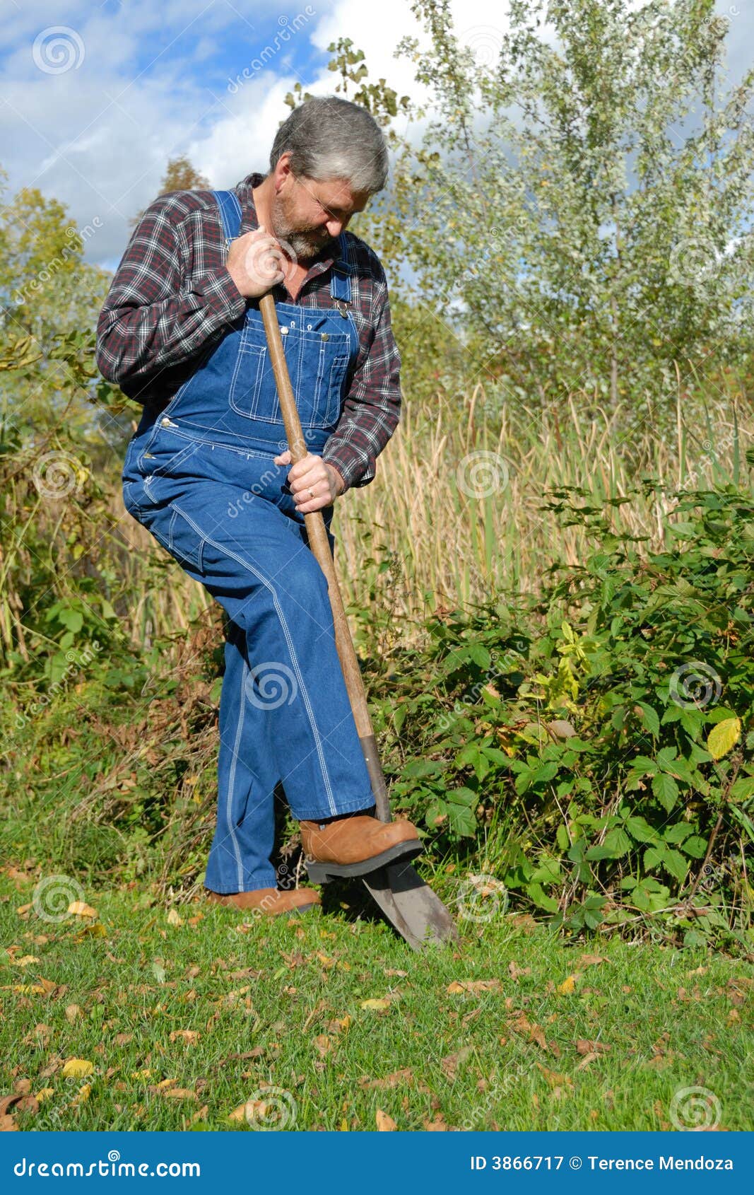 Farmer digging stock image. Image of lumberjack, face - 3866717