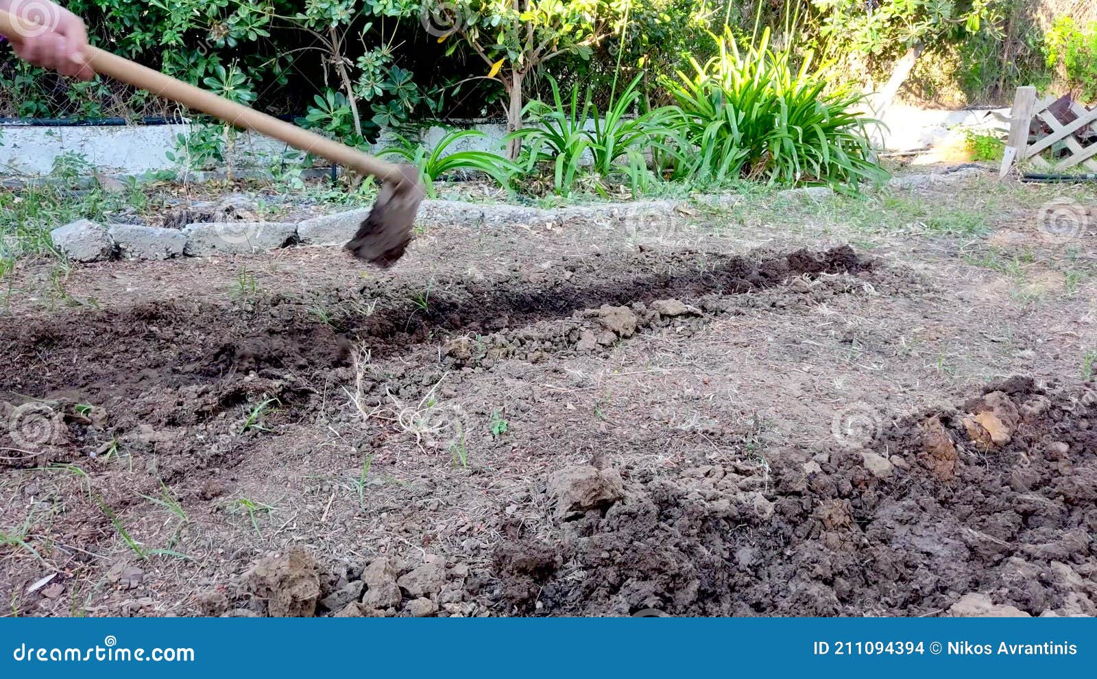 Farmer Digging the Compost Soil with a How Tool in 4 K Video Stock ...