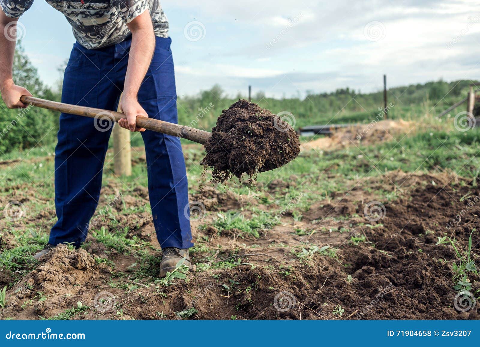 Farmer Digging the Earth To Build a Deep Bed of in the Kitchen Garden ...