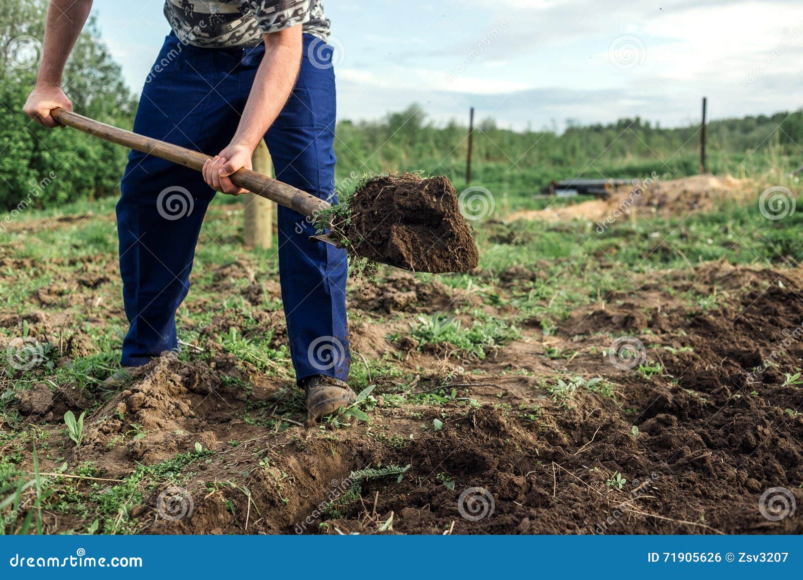 Farmer Digging the Earth To Build a Deep Bed of in the Kitchen Garden ...