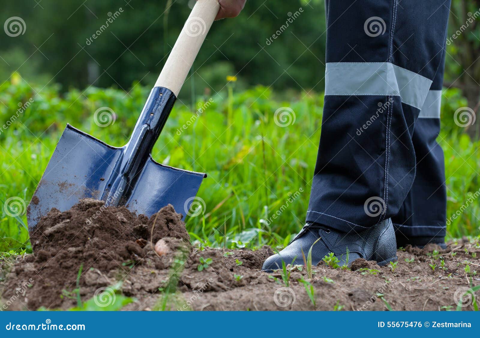 Farmer digging a garden stock photo. Image of ground - 55675476