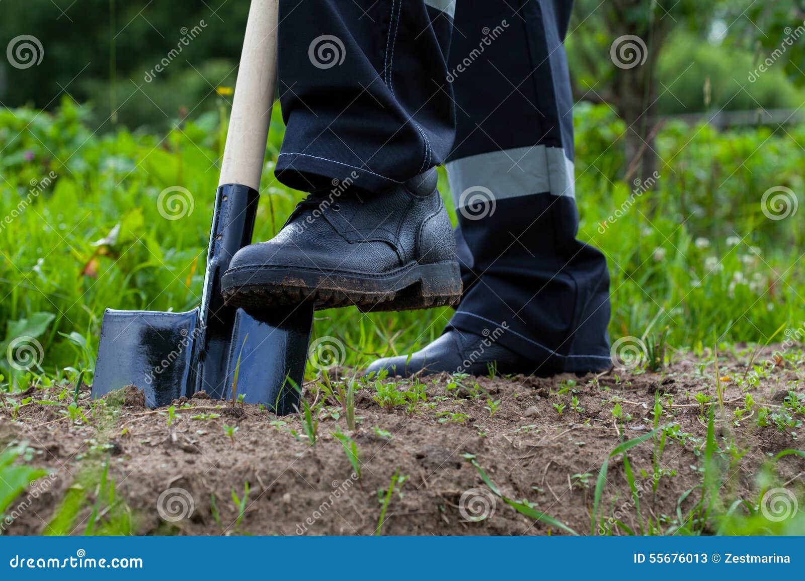 Farmer digging a garden stock image. Image of farm, armer - 55676013