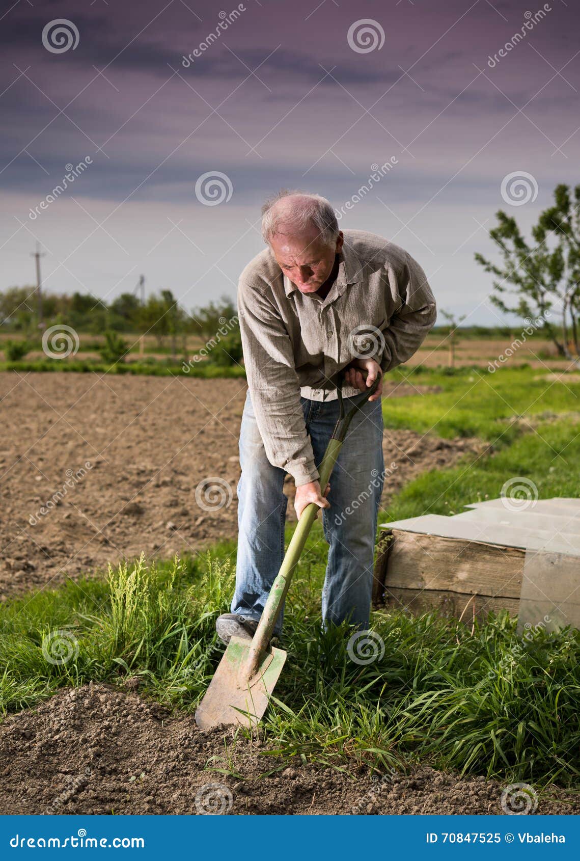 Farmer Digging in the Garden Stock Image - Image of human, activity ...