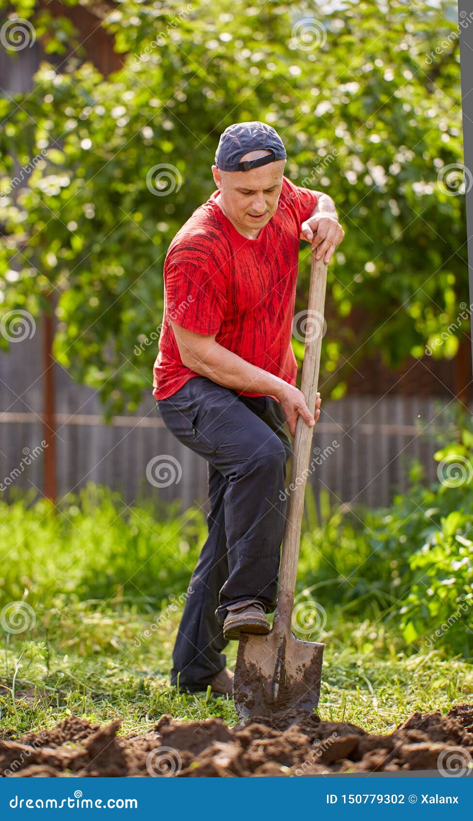 Farmer Digging with a Shovel Stock Photo - Image of forest, plow: 150779302
