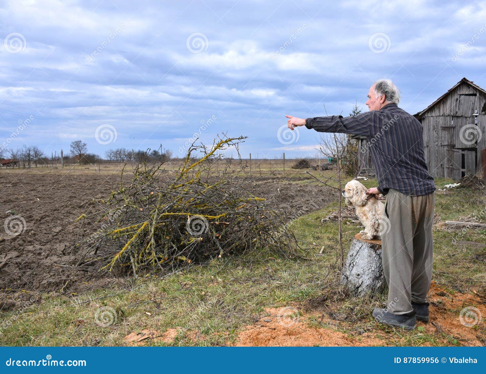 Farmer with a Dog Standing on the Field Stock Photo - Image of spaniel ...