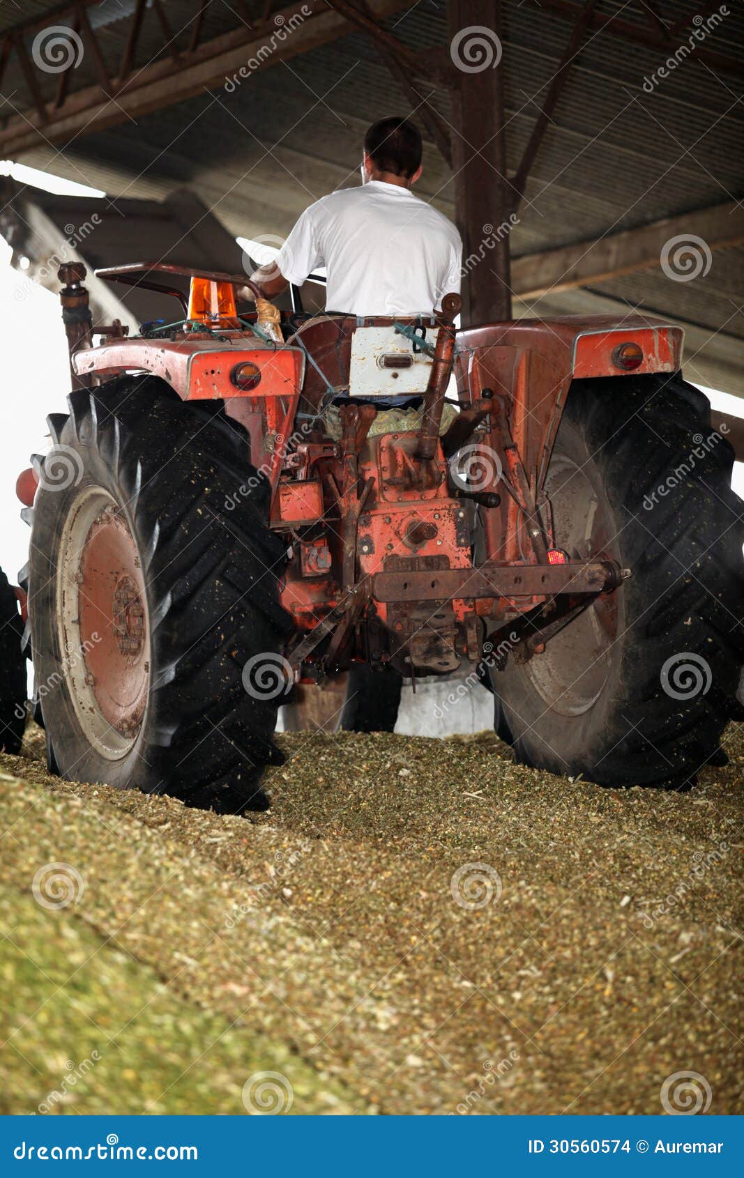 Farmer driving his tractor stock photo. Image of harvesttime - 30560574