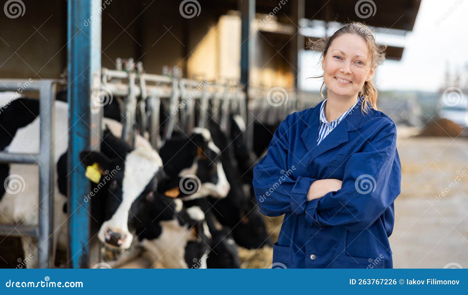 Farmer Engaged in Breeding of Cows Posing in Cowshed Stock Photo ... Farmer Engaged in Breeding of Cows Posing in Cowshed Stock Photo ...