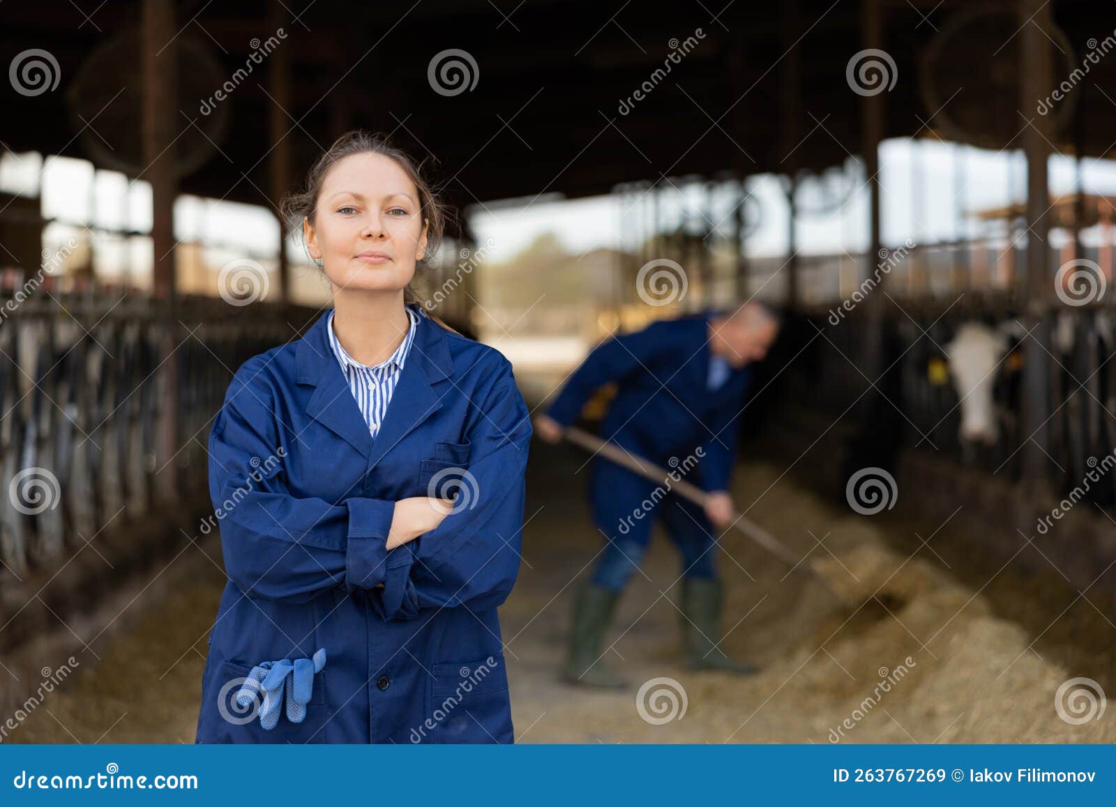 Farmer Engaged in Breeding of Cows Posing in Cowshed Stock Image ... Farmer Engaged in Breeding of Cows Posing in Cowshed Stock Image ...