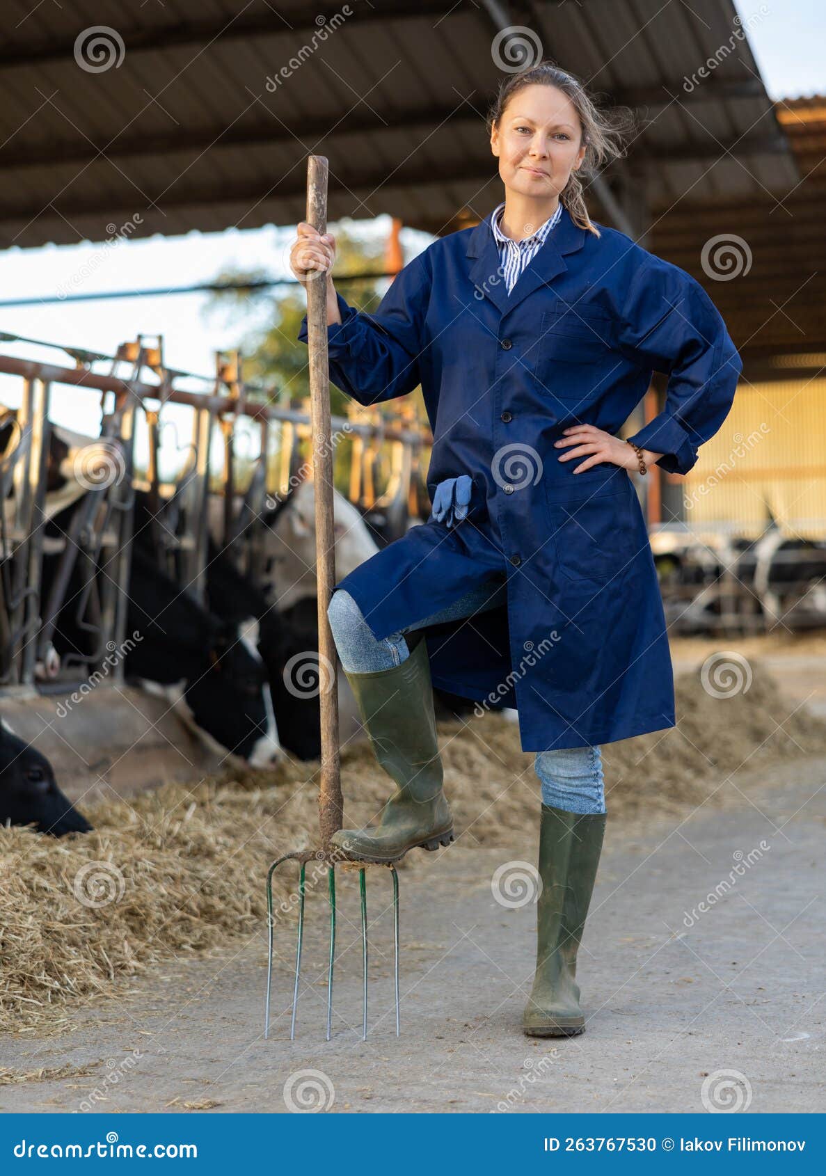 Farmer Engaged in Breeding of Cows Posing in Cowshed Stock Photo ... Farmer Engaged in Breeding of Cows Posing in Cowshed Stock Photo ...
