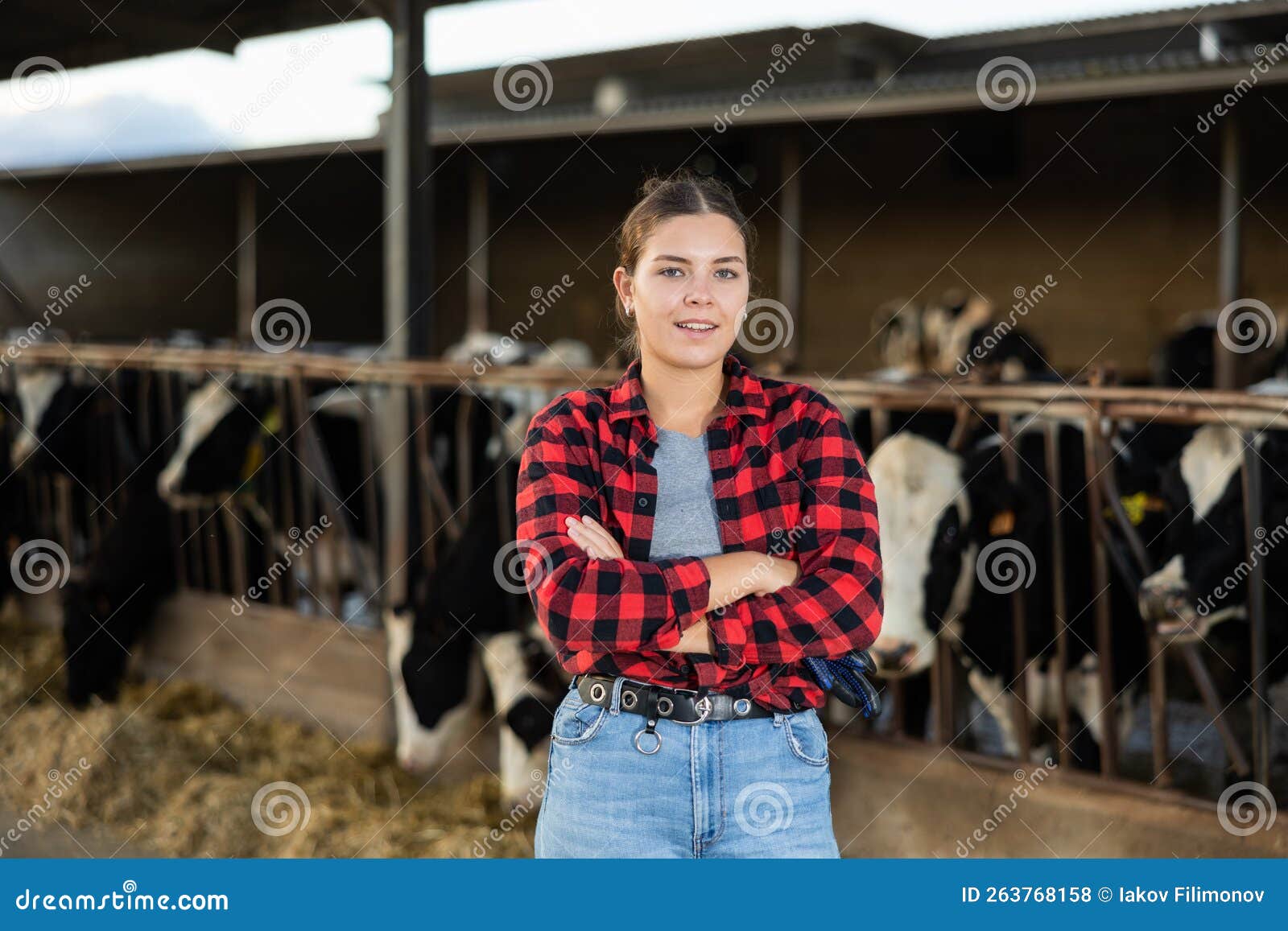 Farmer Engaged in Breeding of Cows Posing in Cowshed Stock Photo ... Farmer Engaged in Breeding of Cows Posing in Cowshed Stock Photo ...