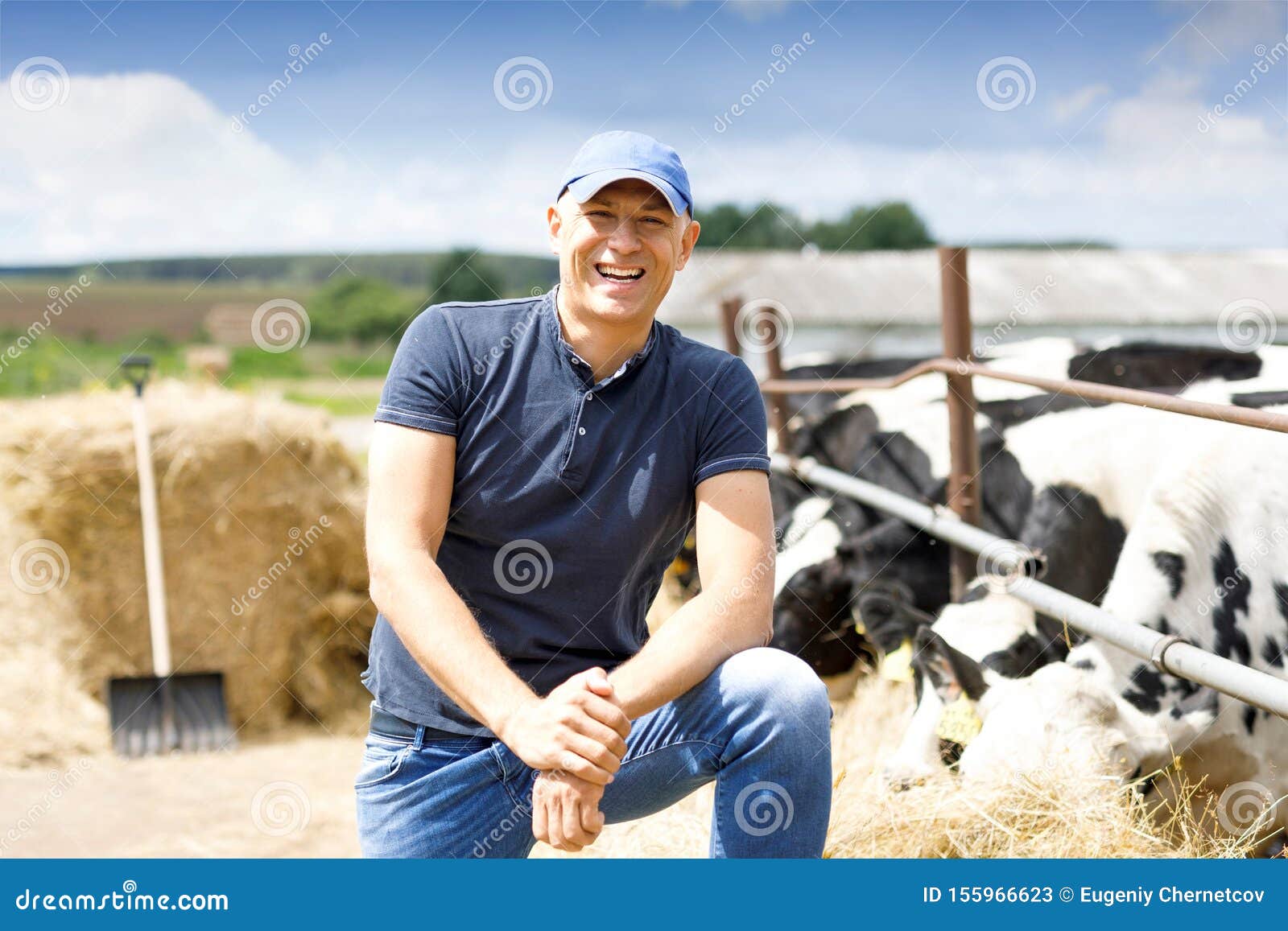 Farmer at Farm with Dairy Cow Stock Image - Image of food, cattle ...