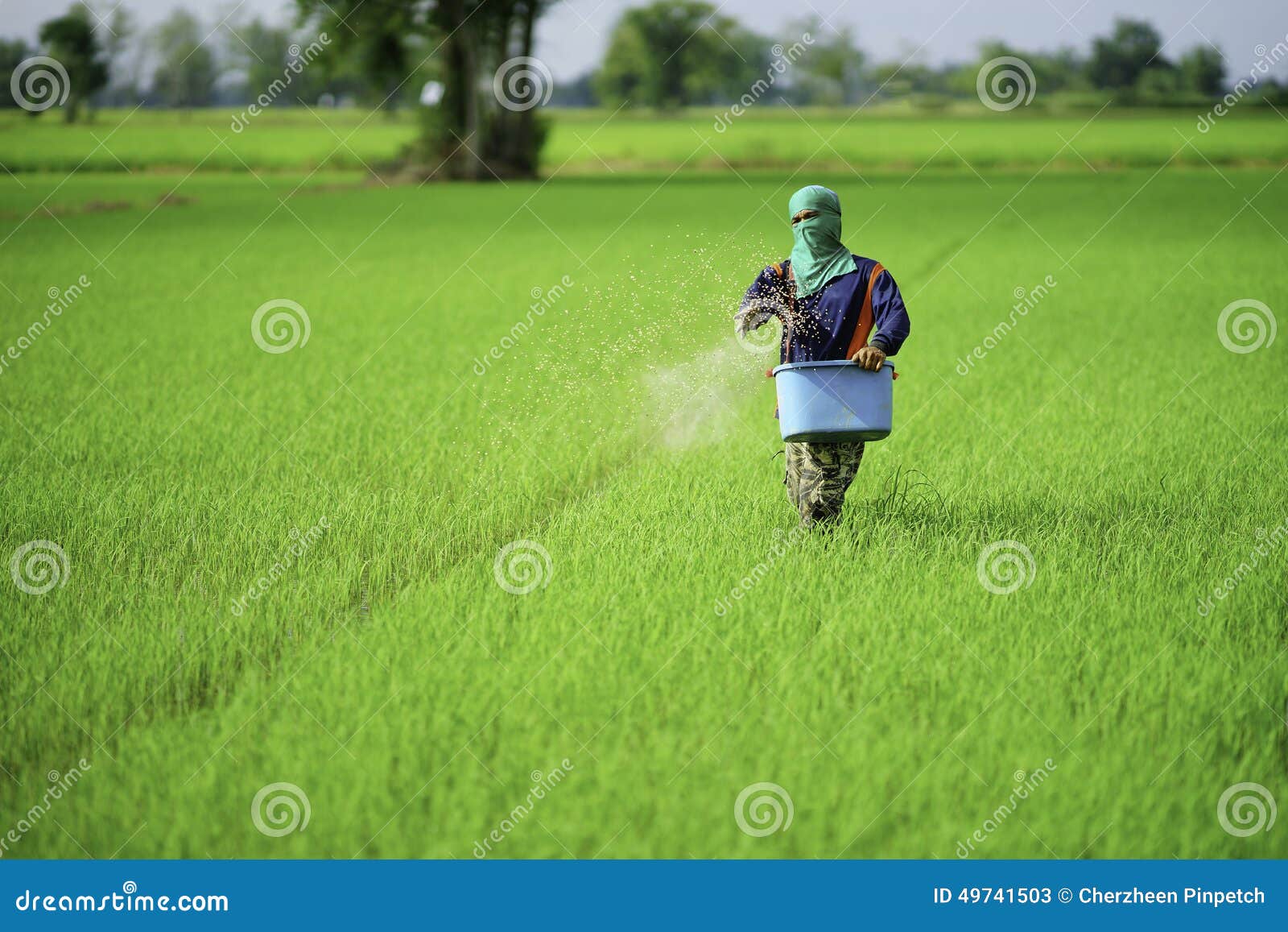 Farmer editorial stock photo. Image of workers, fertilizer - 49741503