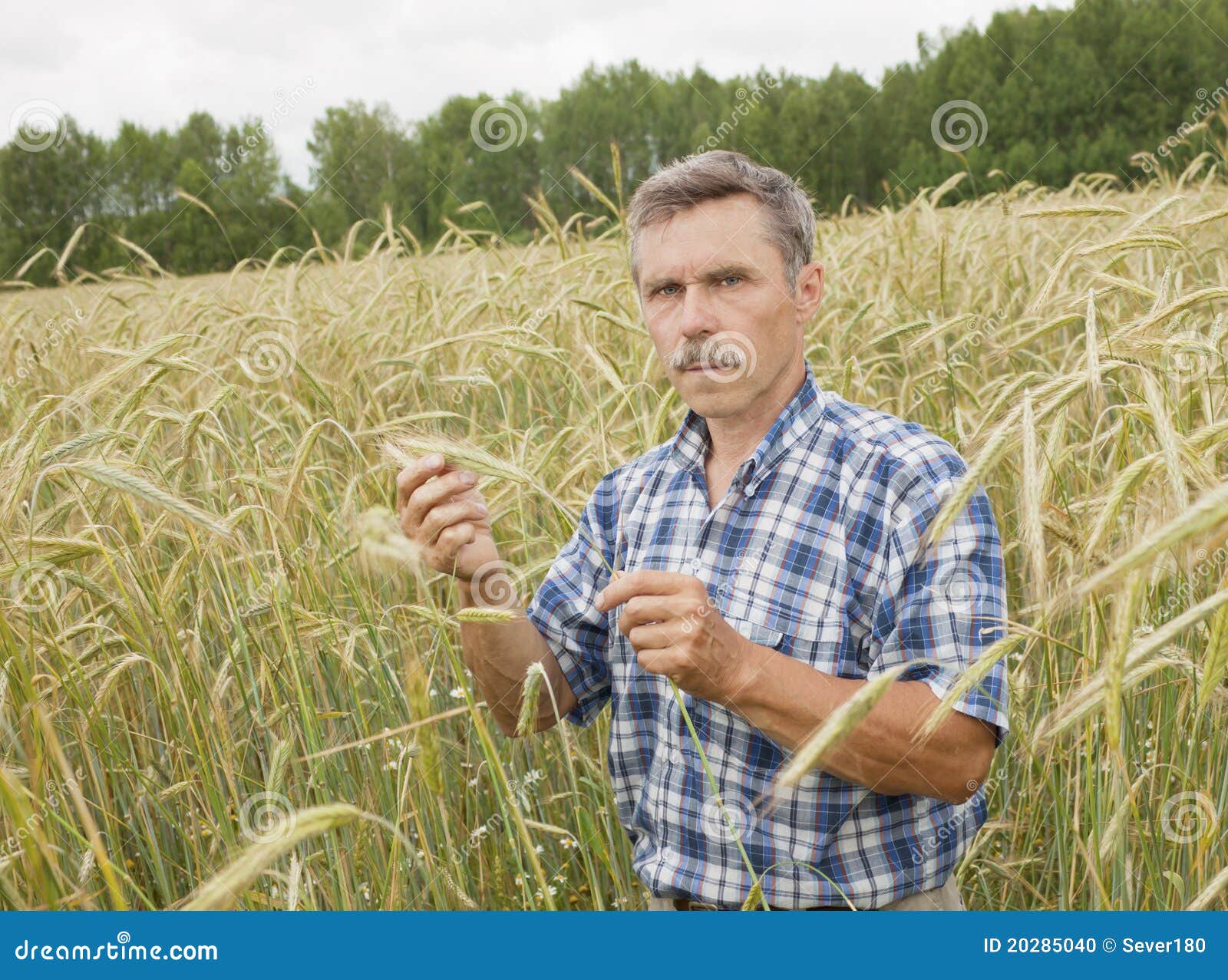 The farmer in the field stock photo. Image of food, view - 20285040