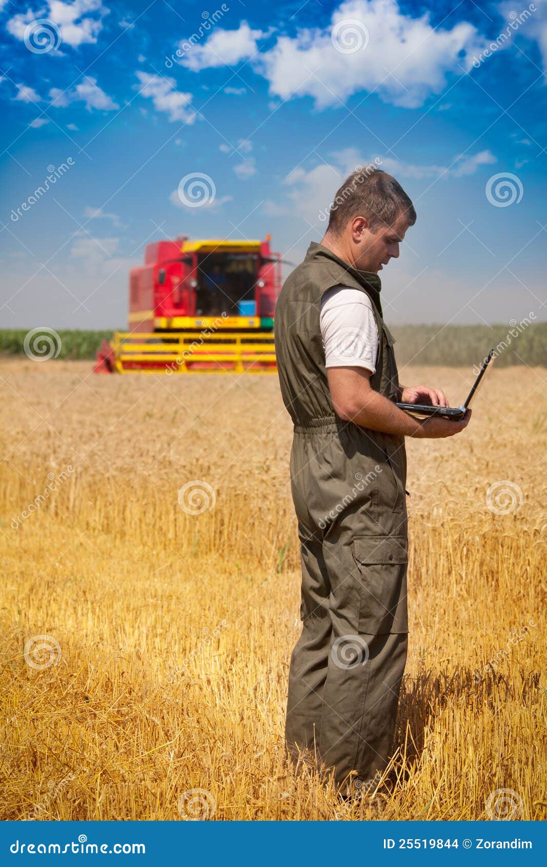 Farmer in a field stock photo. Image of nutritious, farming - 25519844