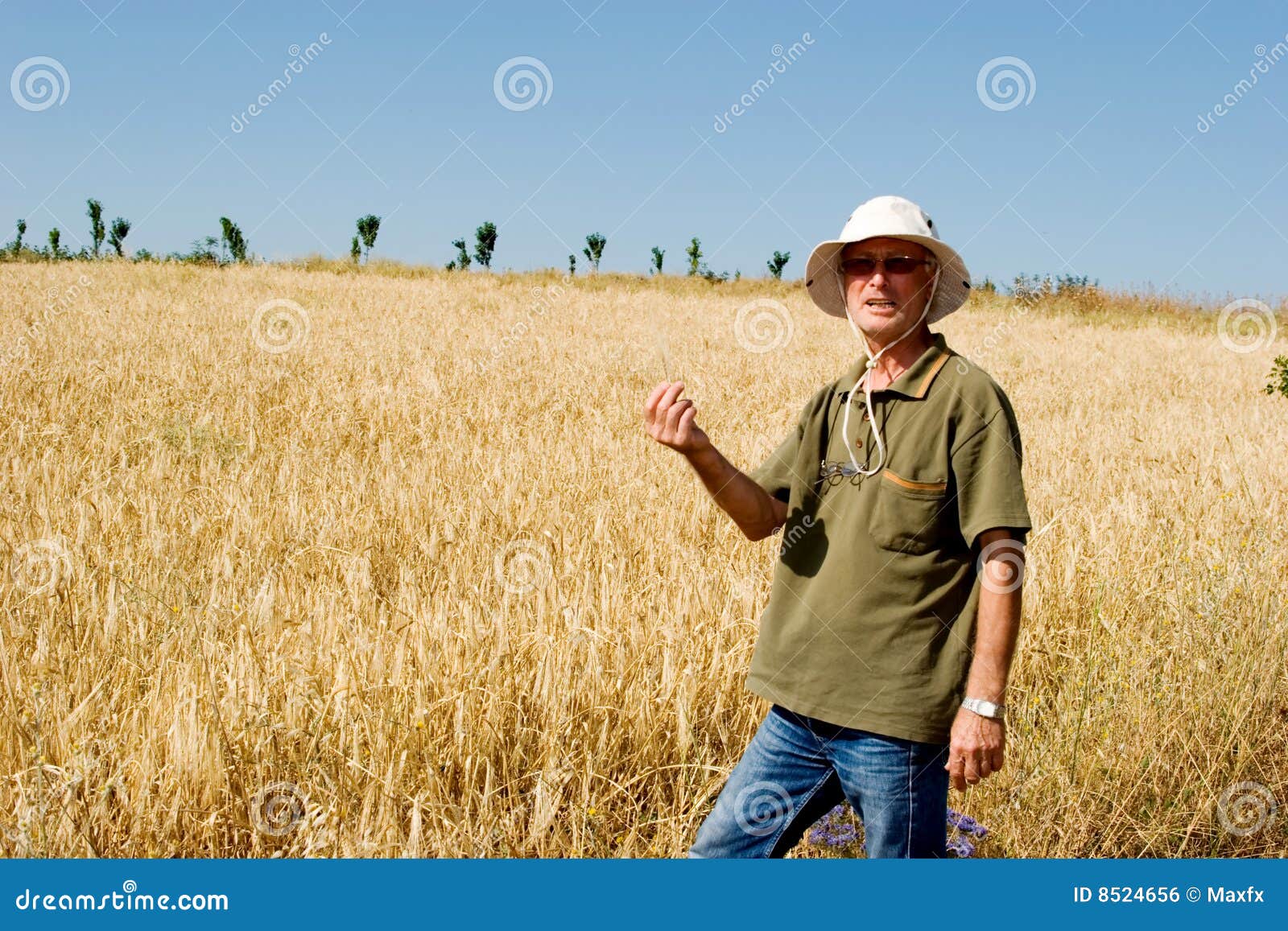 Farmer in a field stock photo. Image of field, season - 8524656