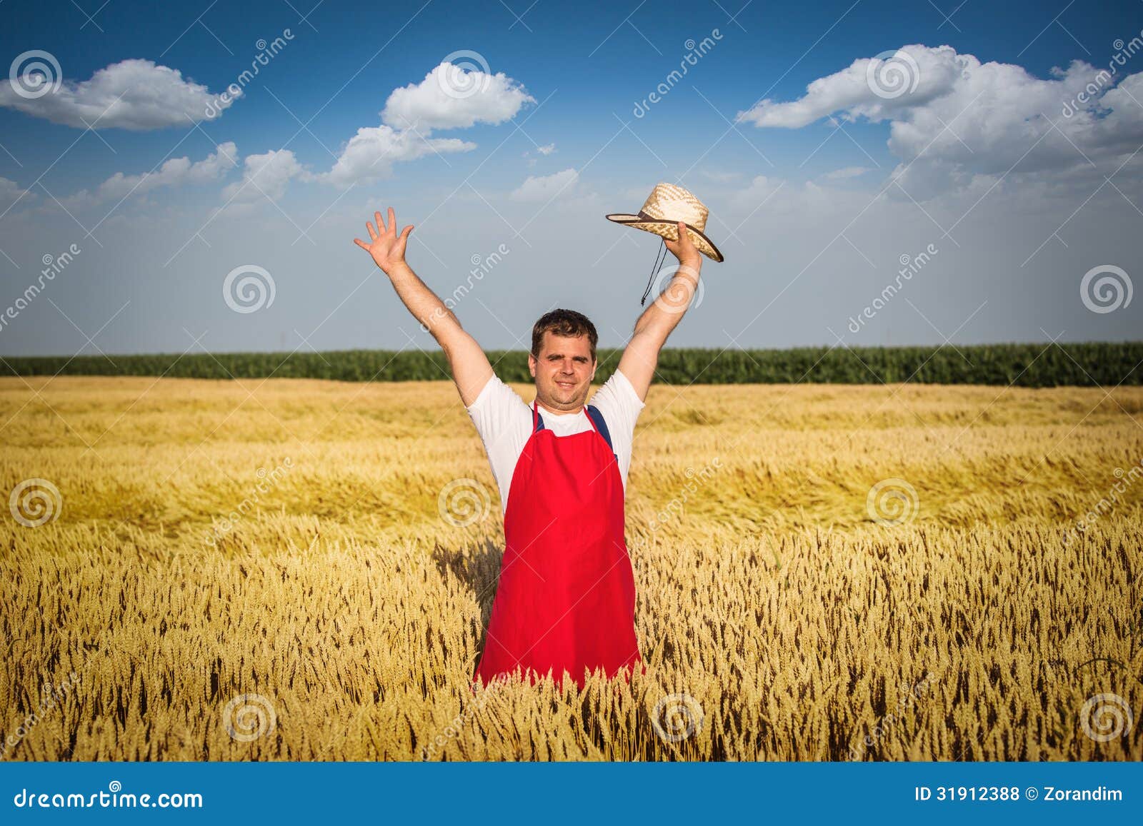 Farmer in field stock photo. Image of report, plant, connection - 31912388
