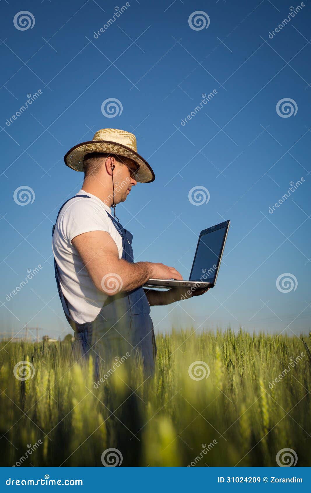 Farmer in field stock image. Image of farm, food, harvesting - 31024209