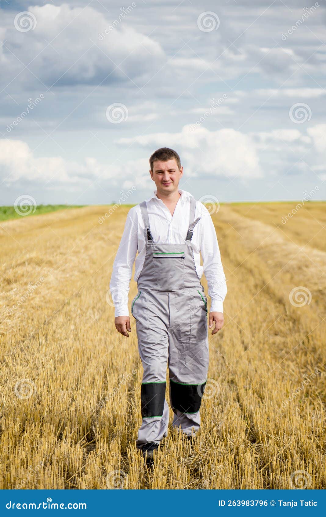 Farmer in threshed wheat stock photo. Image of people - 263983796