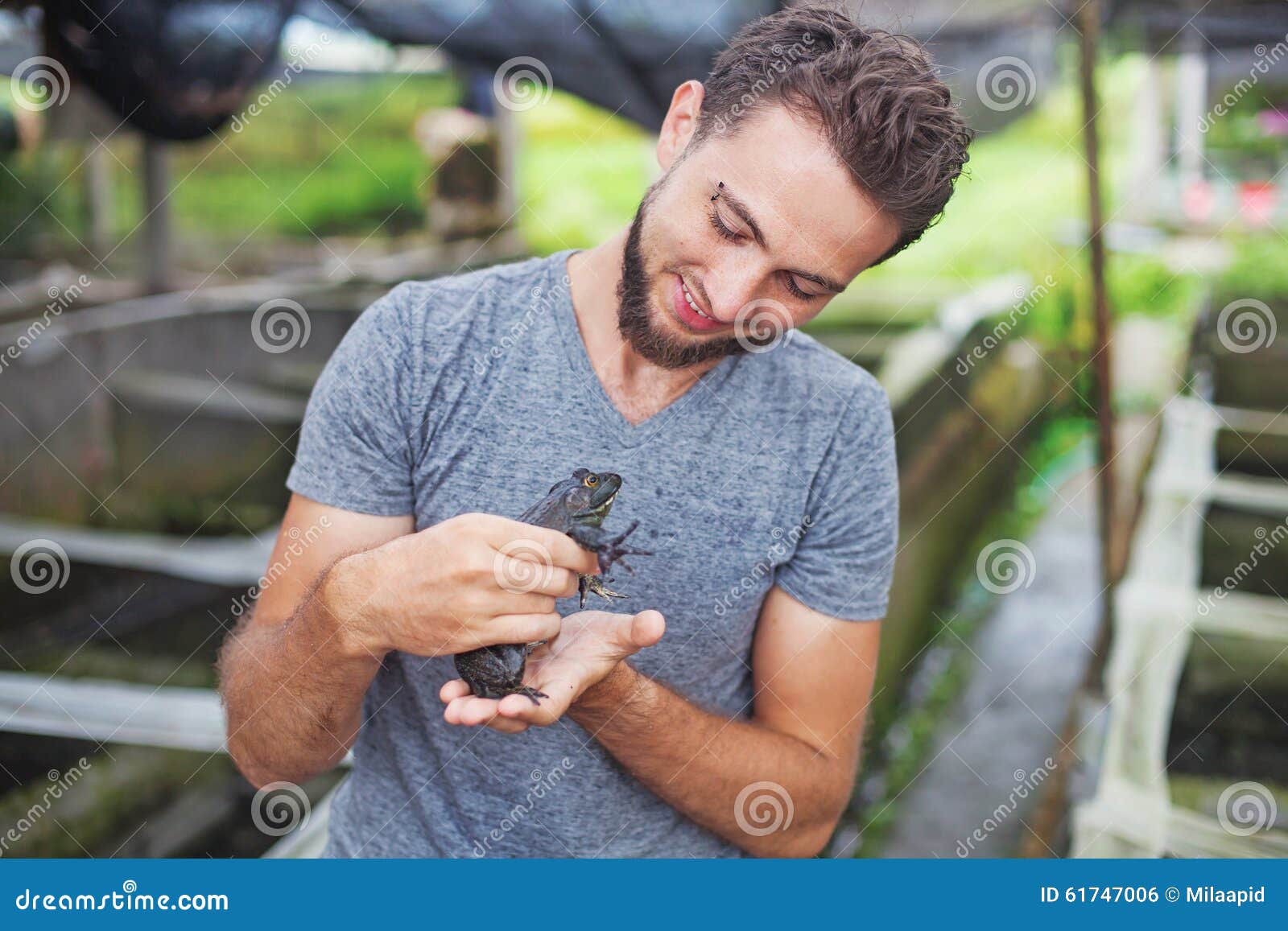 Frog Farming, Agriculturist In Thailand Apply Idea Ape Natural. Stock ...