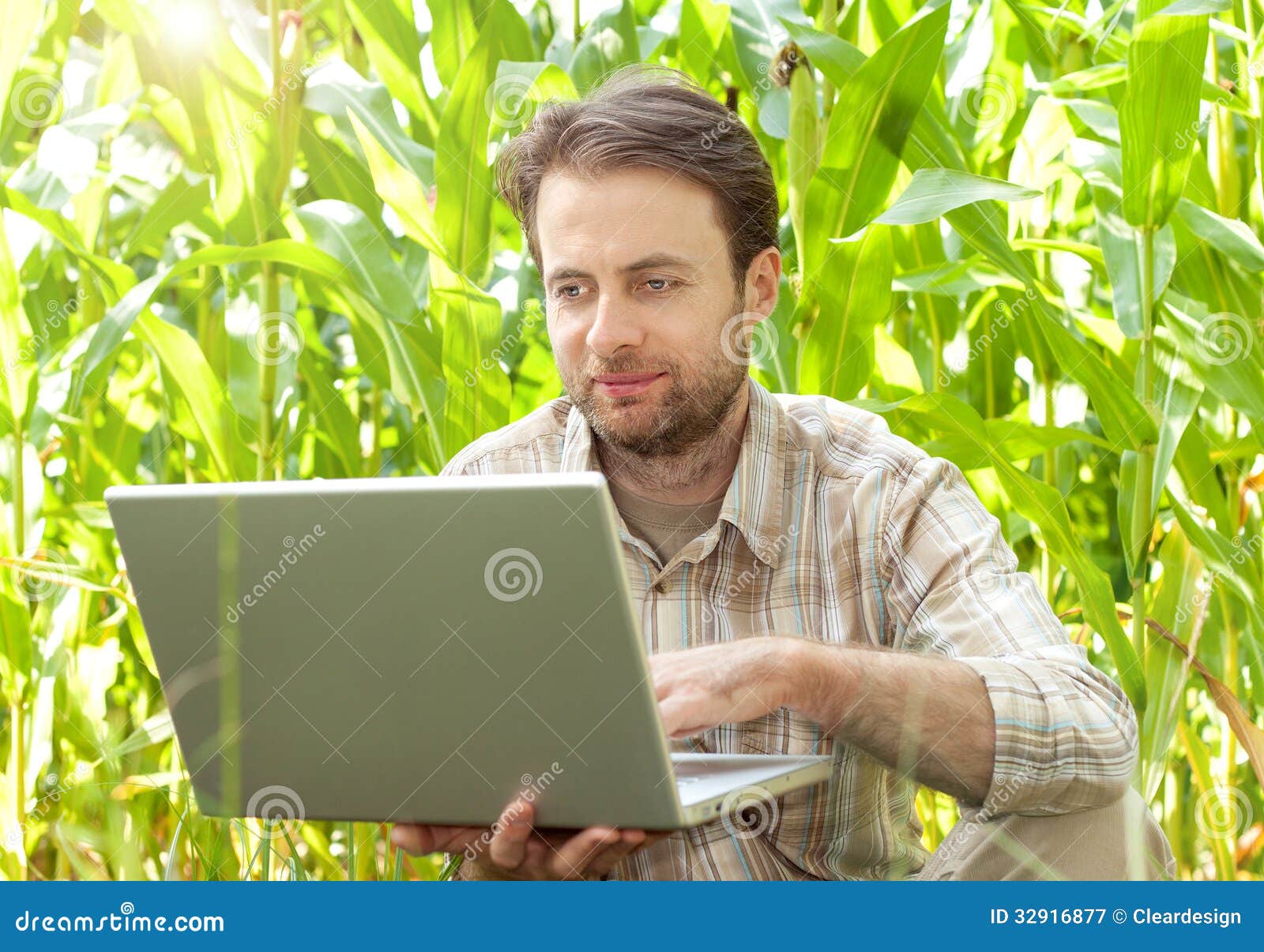 Farmer in Front of Corn Field Working on Laptop Computer Stock Image ...
