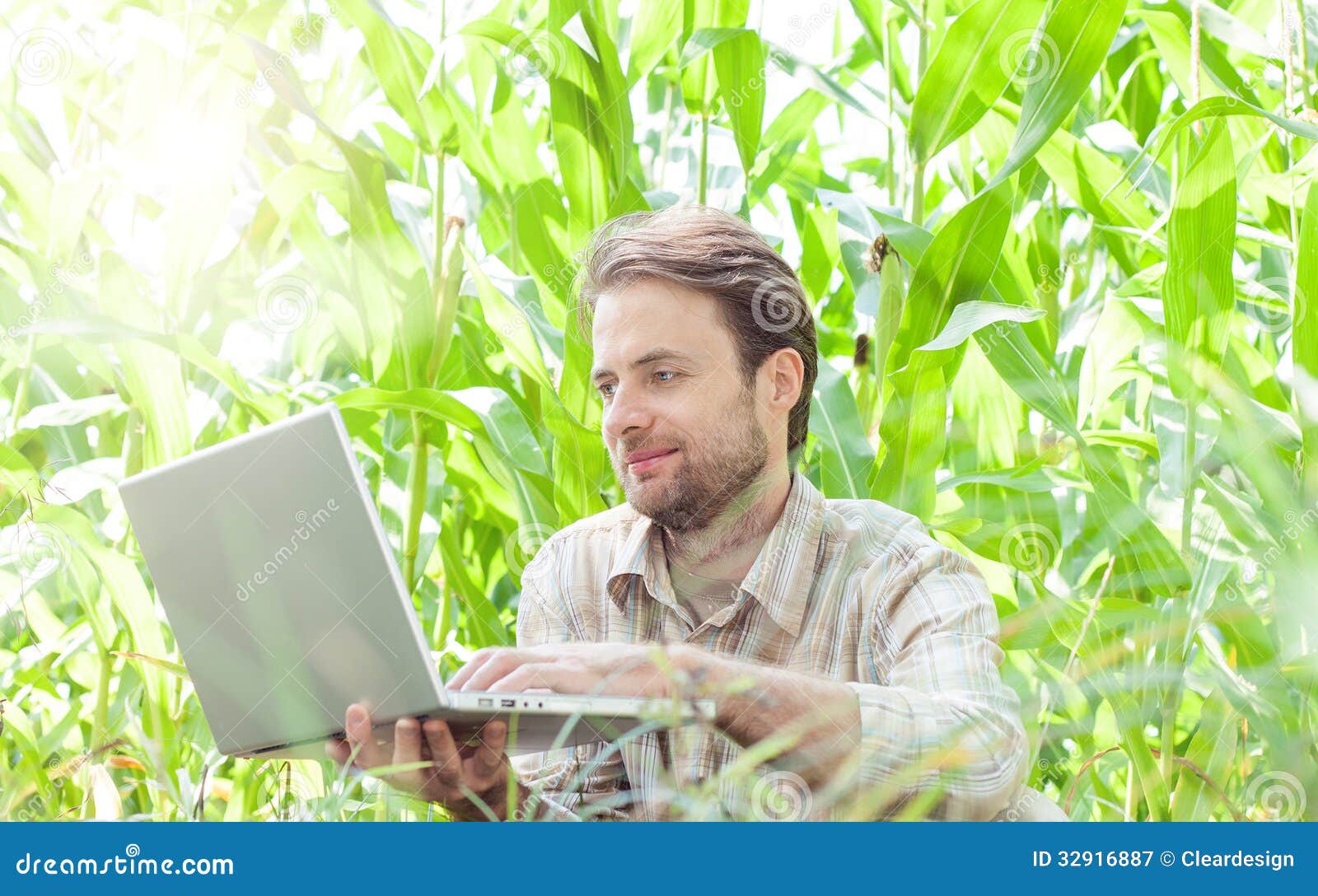Farmer in Front of Corn Field Working on Laptop Computer Stock Image ...