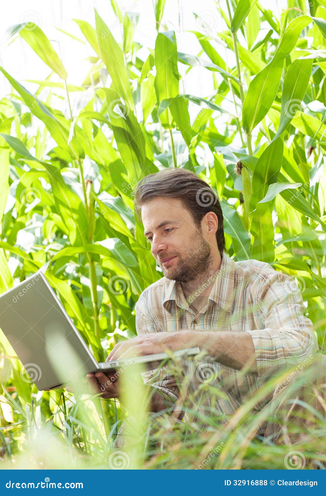 Farmer in Front of Corn Field Working on Laptop Computer Stock Photo ...