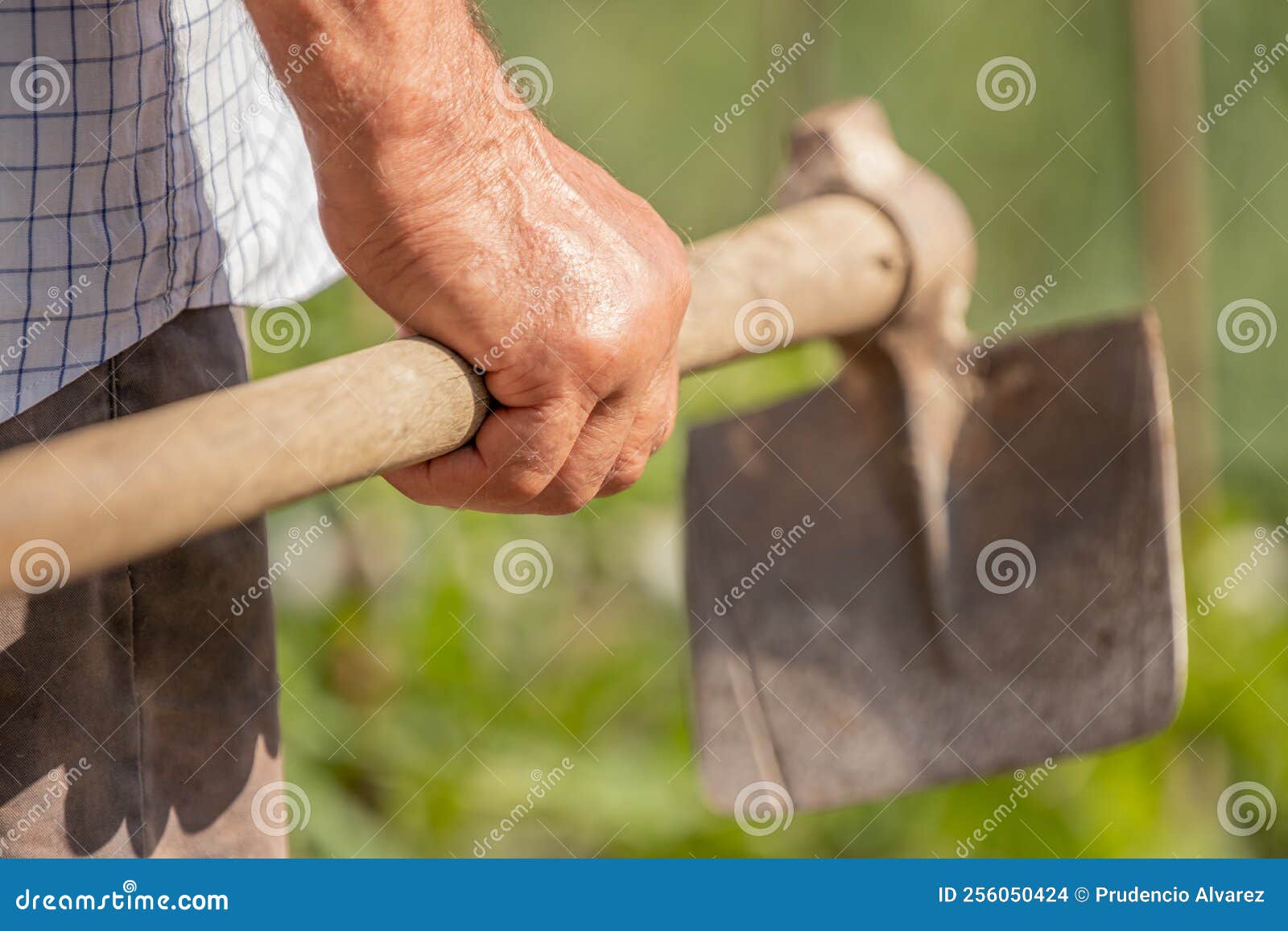Farmer hand with the hoe stock photo. Image of horticulture - 256050424