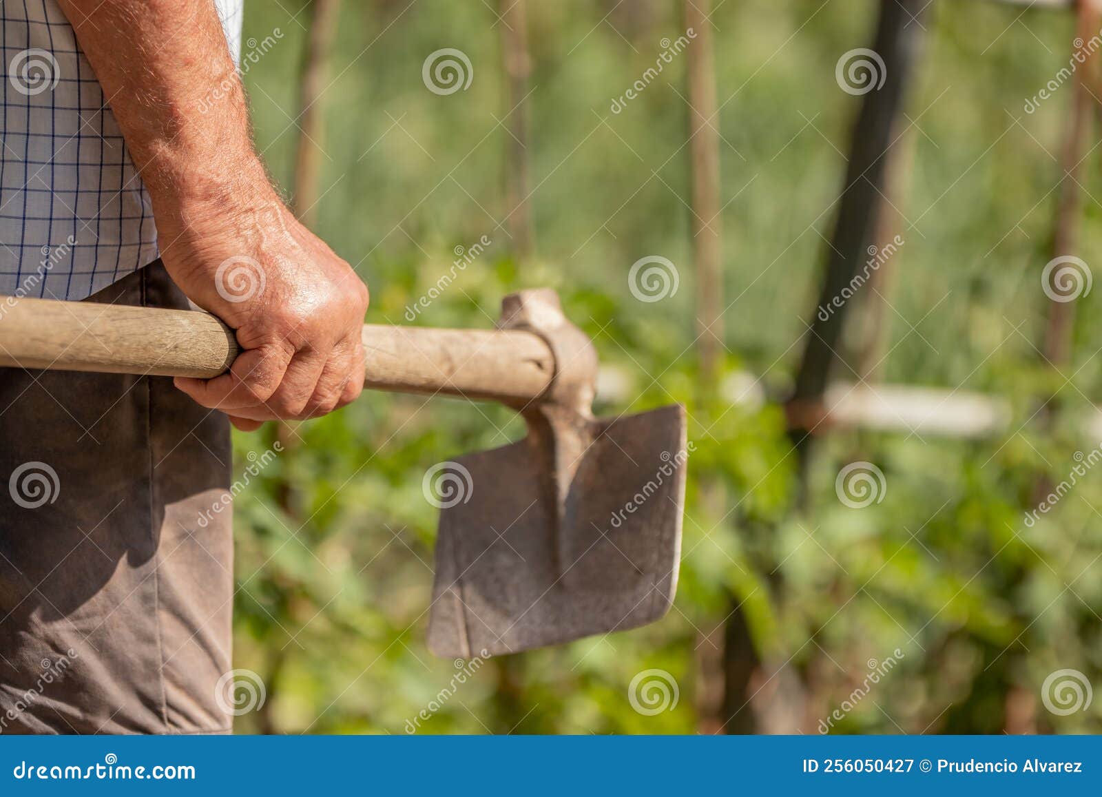Farmer hand with the hoe stock image. Image of hand - 256050427