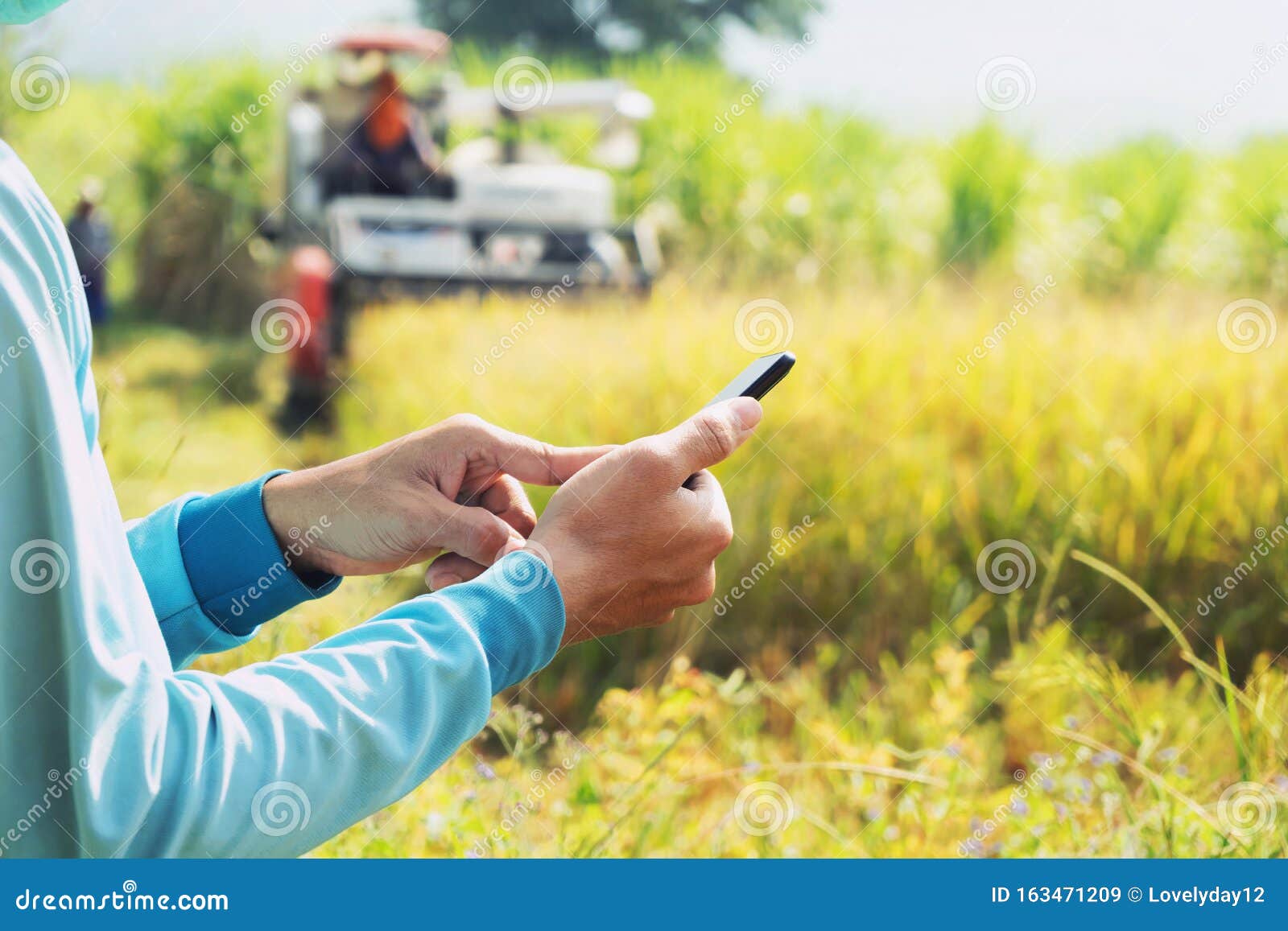 Farmer Hand Using Mobile Phone. Agriculture Concept Stock Image - Image ...