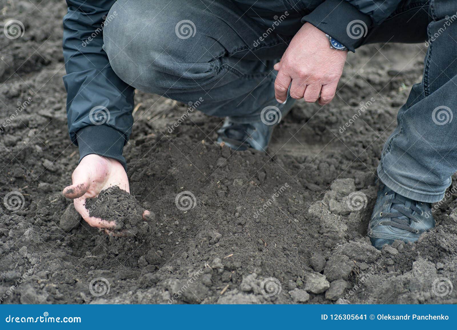 Farmer Hands Digging Ground in Spring in Field Stock Image - Image of ...