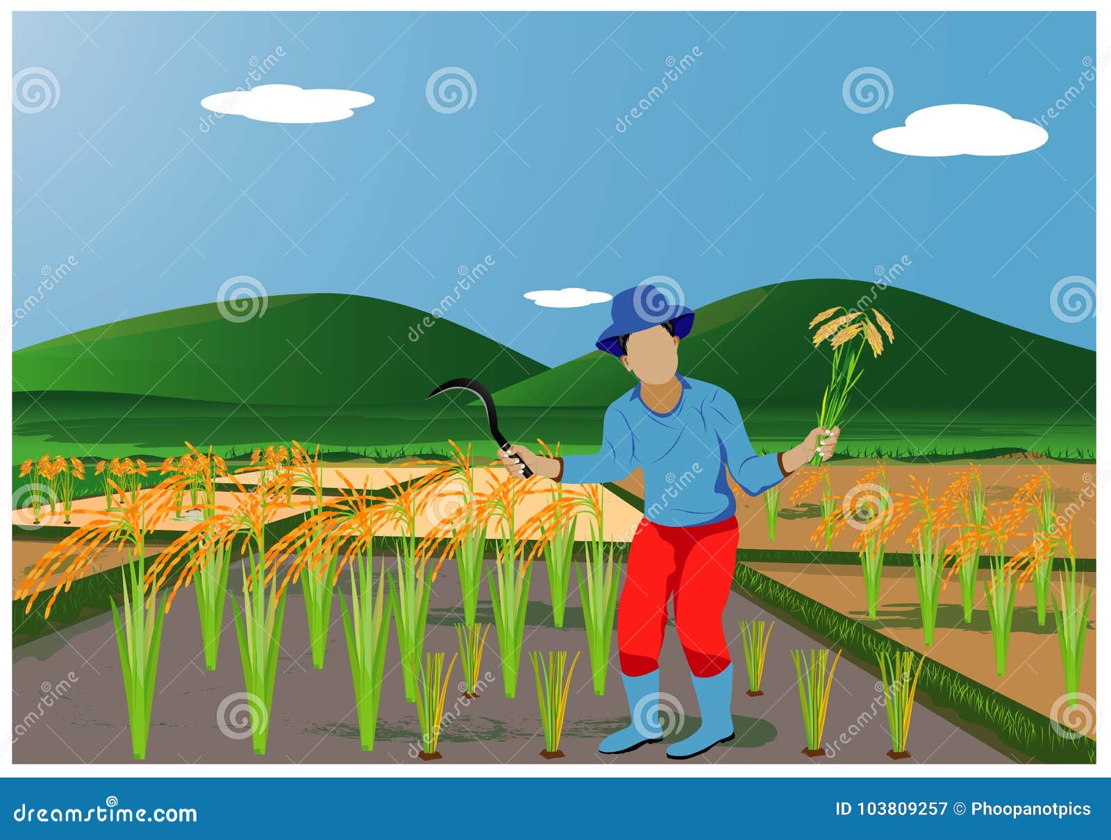 Farmer harvest rice stock illustration. Illustration of sickle - 103809257