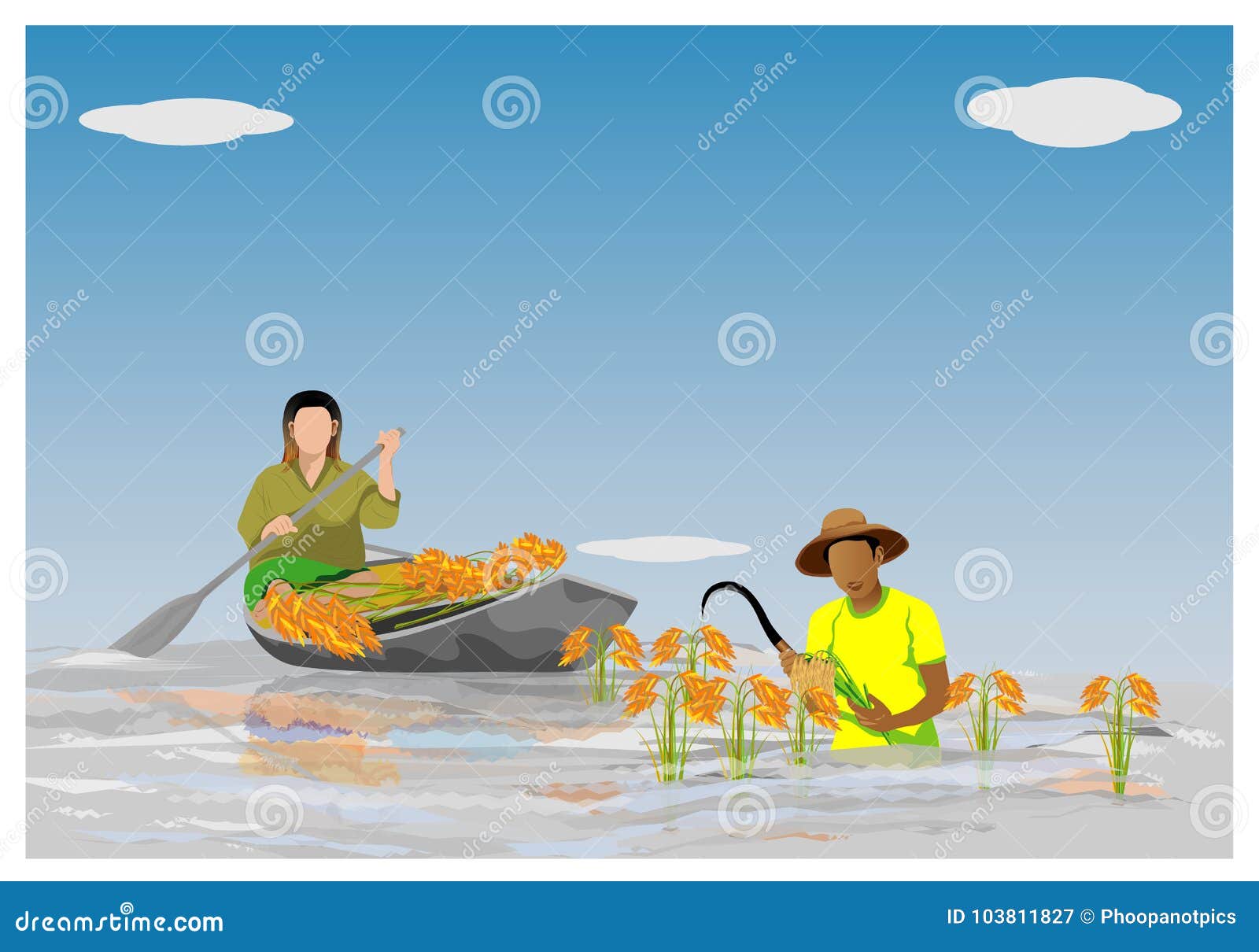 Farmer harvest rice stock vector. Illustration of field - 103811827