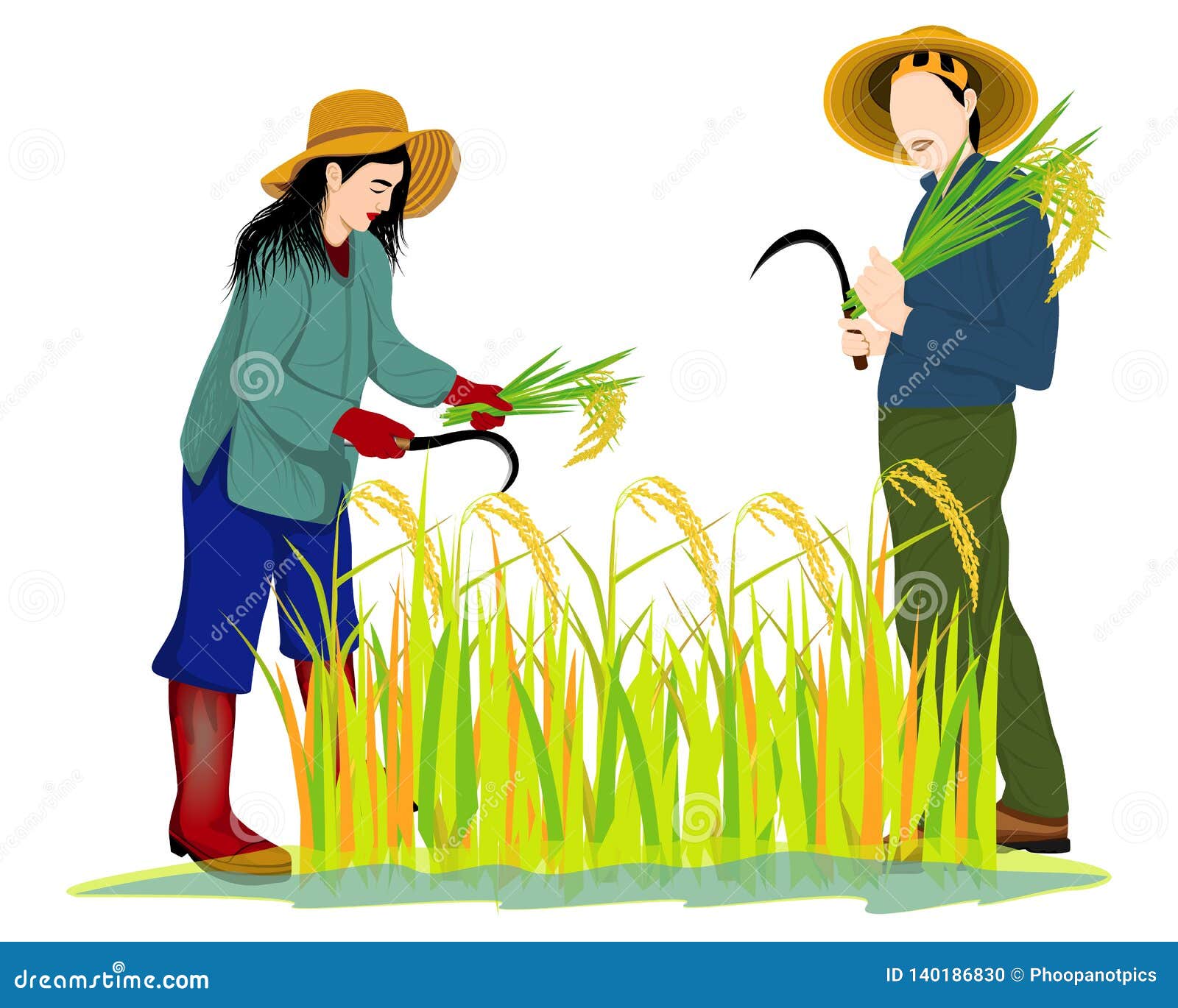 Farmer harvest rice shape stock vector. Illustration of asian - 140186830