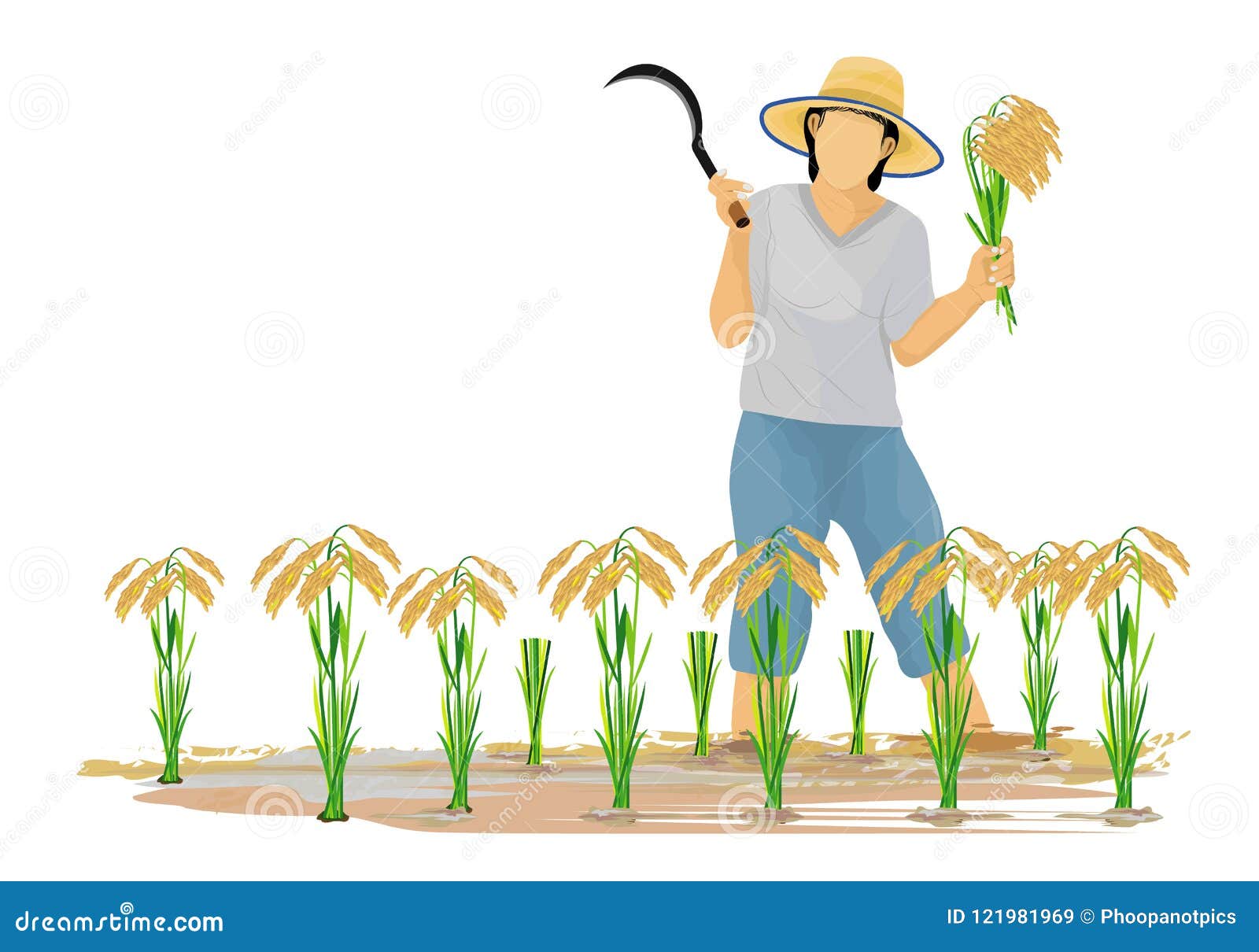 Farmer harvest rice stock vector. Illustration of cartoon - 121981969