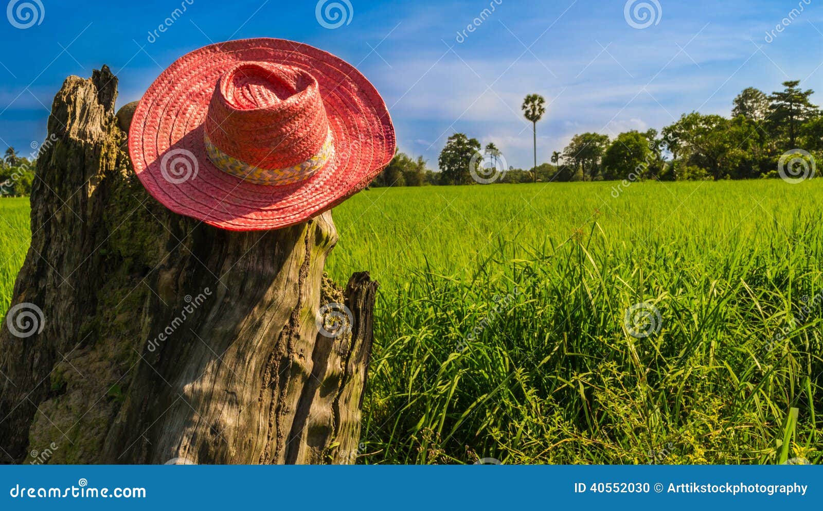 Farmer hat stock photo. Image of hanging, asia, west - 40552030