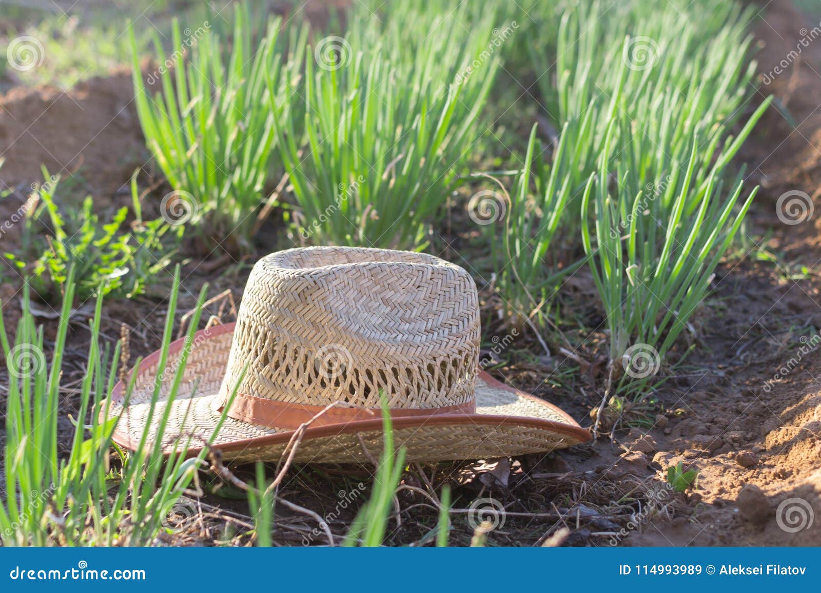 Farmer hat after work stock image. Image of fashion - 114993989