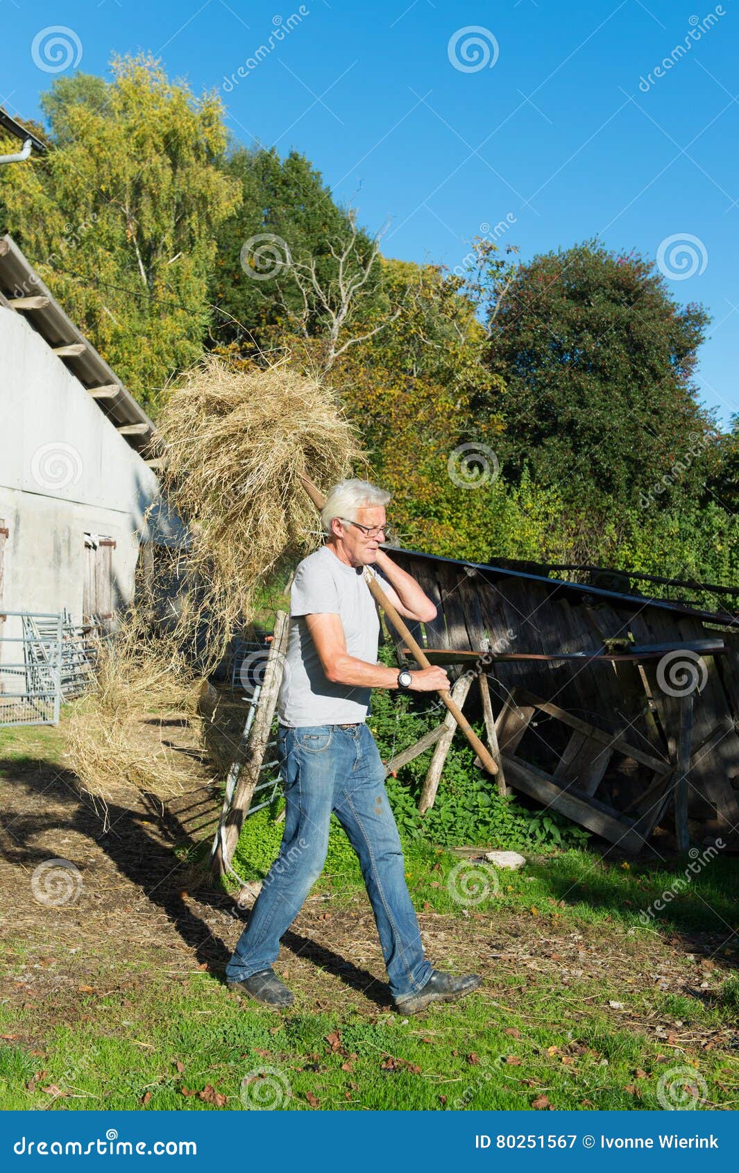 Farmer with hay stock image. Image of walking, person - 80251567