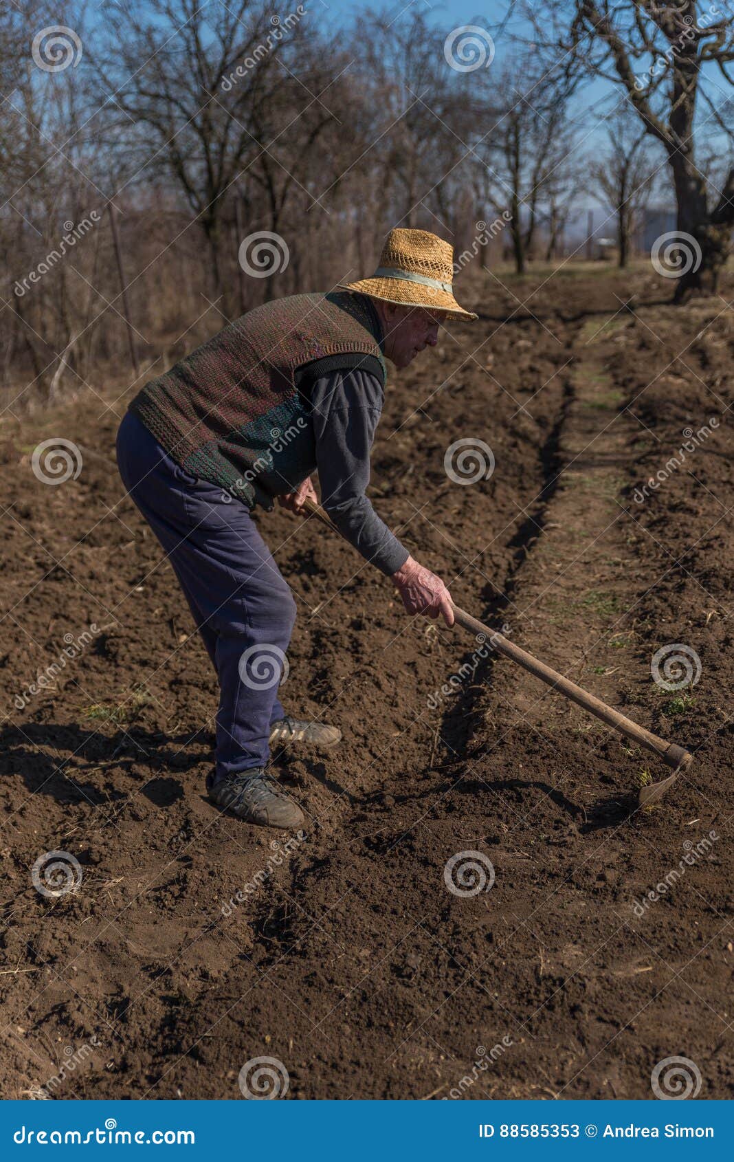 Farmer hoeing editorial stock photo. Image of land, caucasian - 88585353