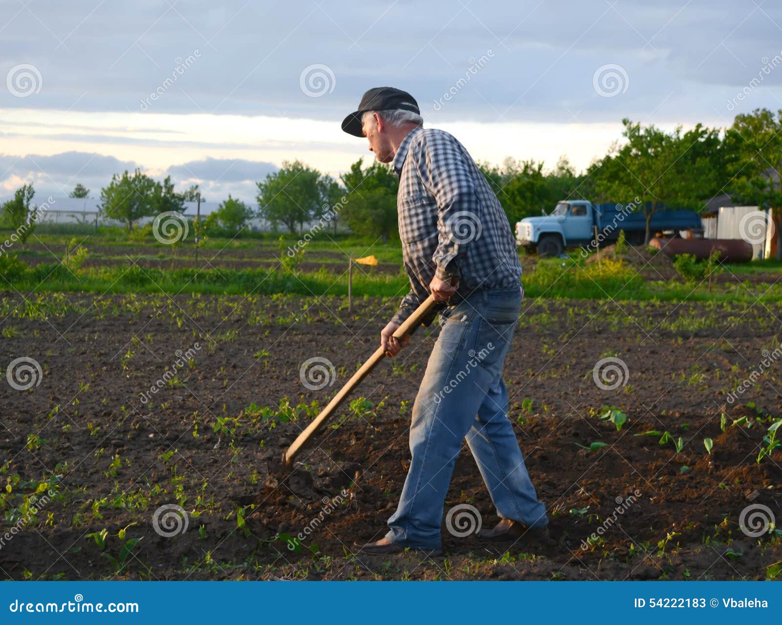 Farmer Hoeing Vegetable Garden Stock Image - Image of plow, field: 54222183