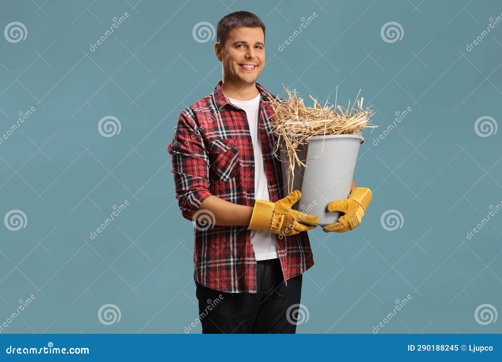 Farmer Holding a Bucket with Hay Isolated on Blue Stock Image - Image ...
