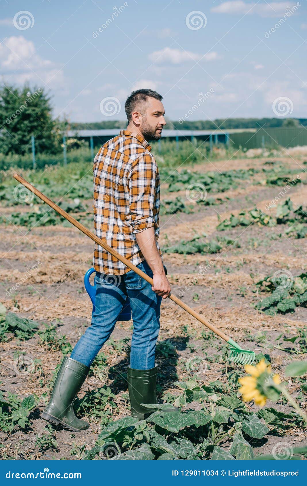 Farmer Holding Rake and Watering Can while Walking Stock Photo - Image ...