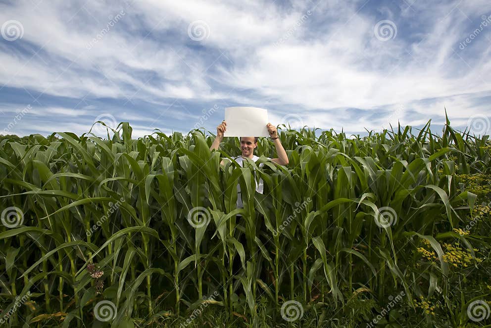 Farmer Holding Sign in Corn Field Stock Photo - Image of food, grain ...