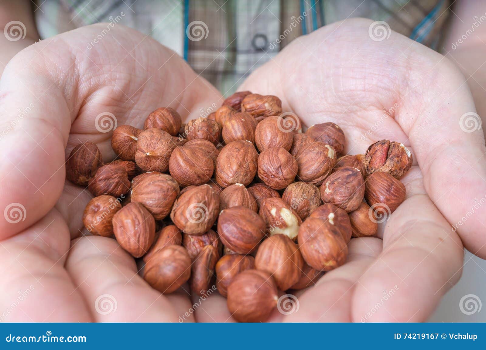 Farmer Holds Hazelnuts in Hands Stock Image - Image of eating ...