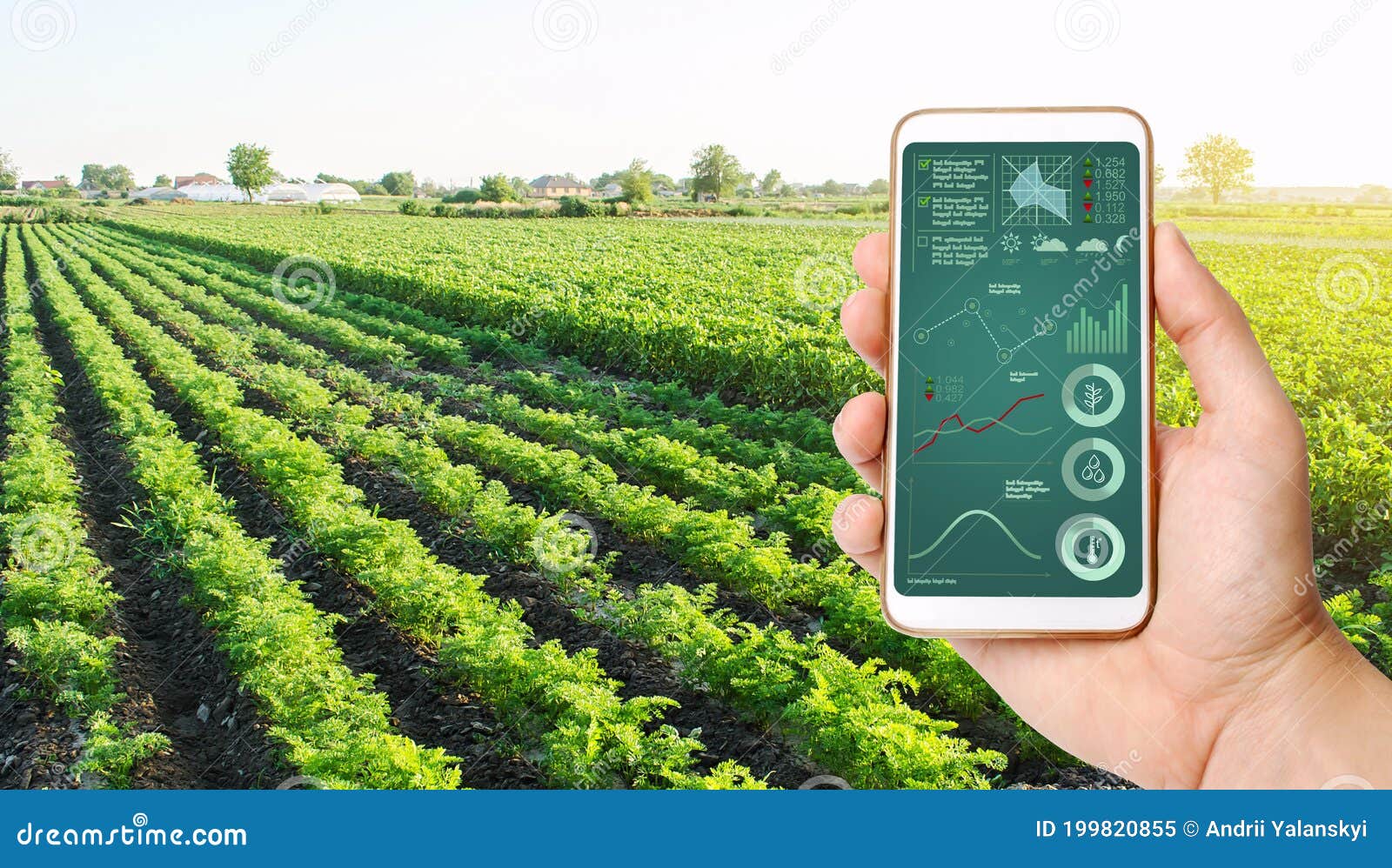 Farmer Holds Smartphone With Infographic On Tractor Background With ...