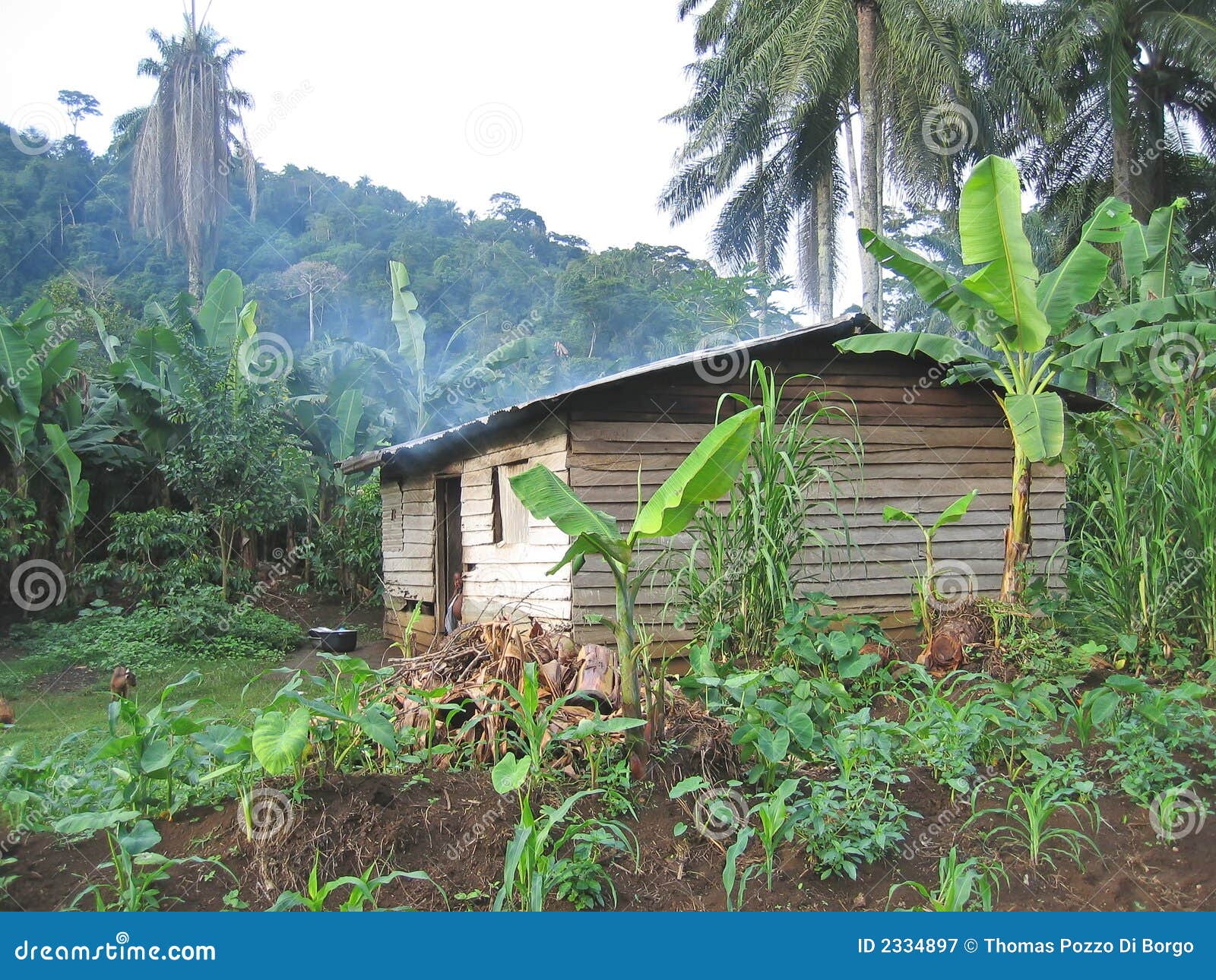 Farmer house stock image. Image of farmer, house, corns - 2334897