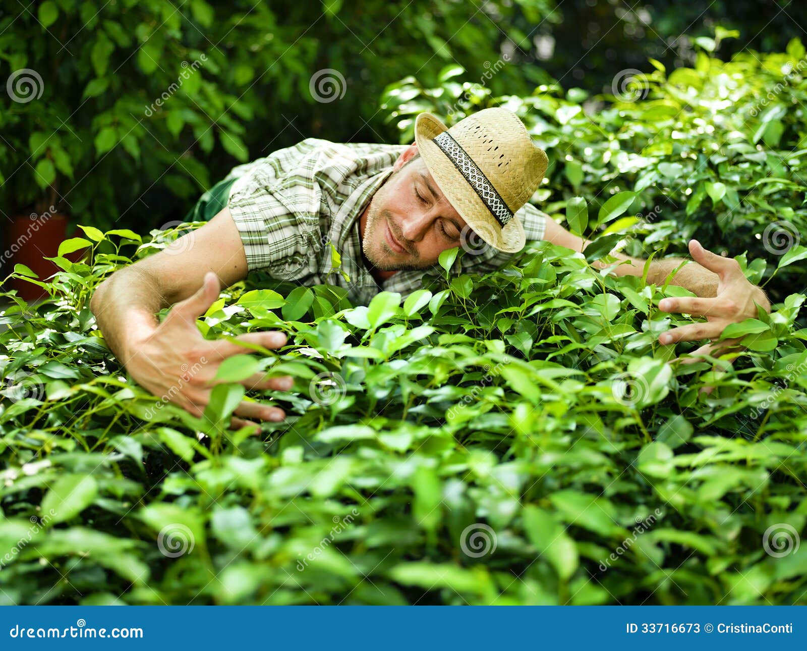 Farmer hugs his plants stock image. Image of caucasian - 33716673
