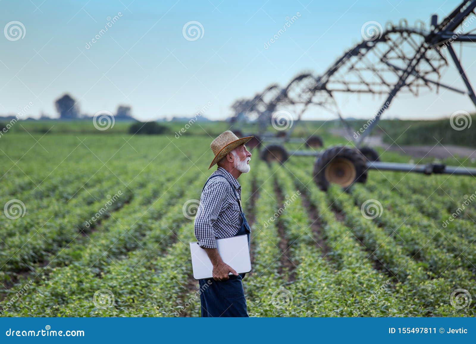Farmer with Laptop in Soybean Field Stock Image - Image of control ...
