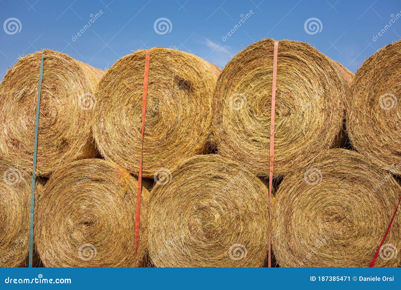 Farmer Loads Some Hay Bales on His Tractor Stock Image - Image of ...